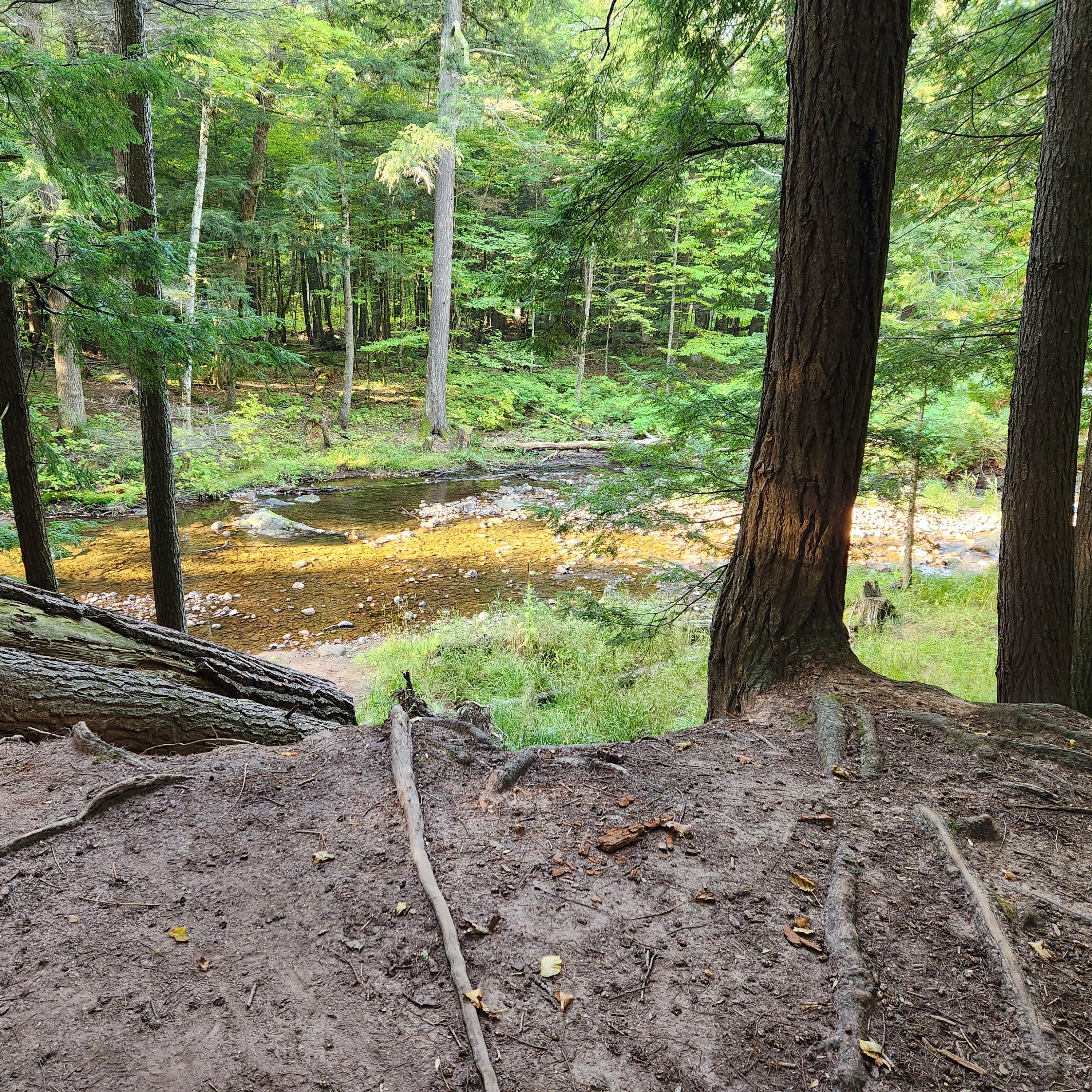 Porcupine Mountains Backcountry Camping — Porcupine Mountains ...