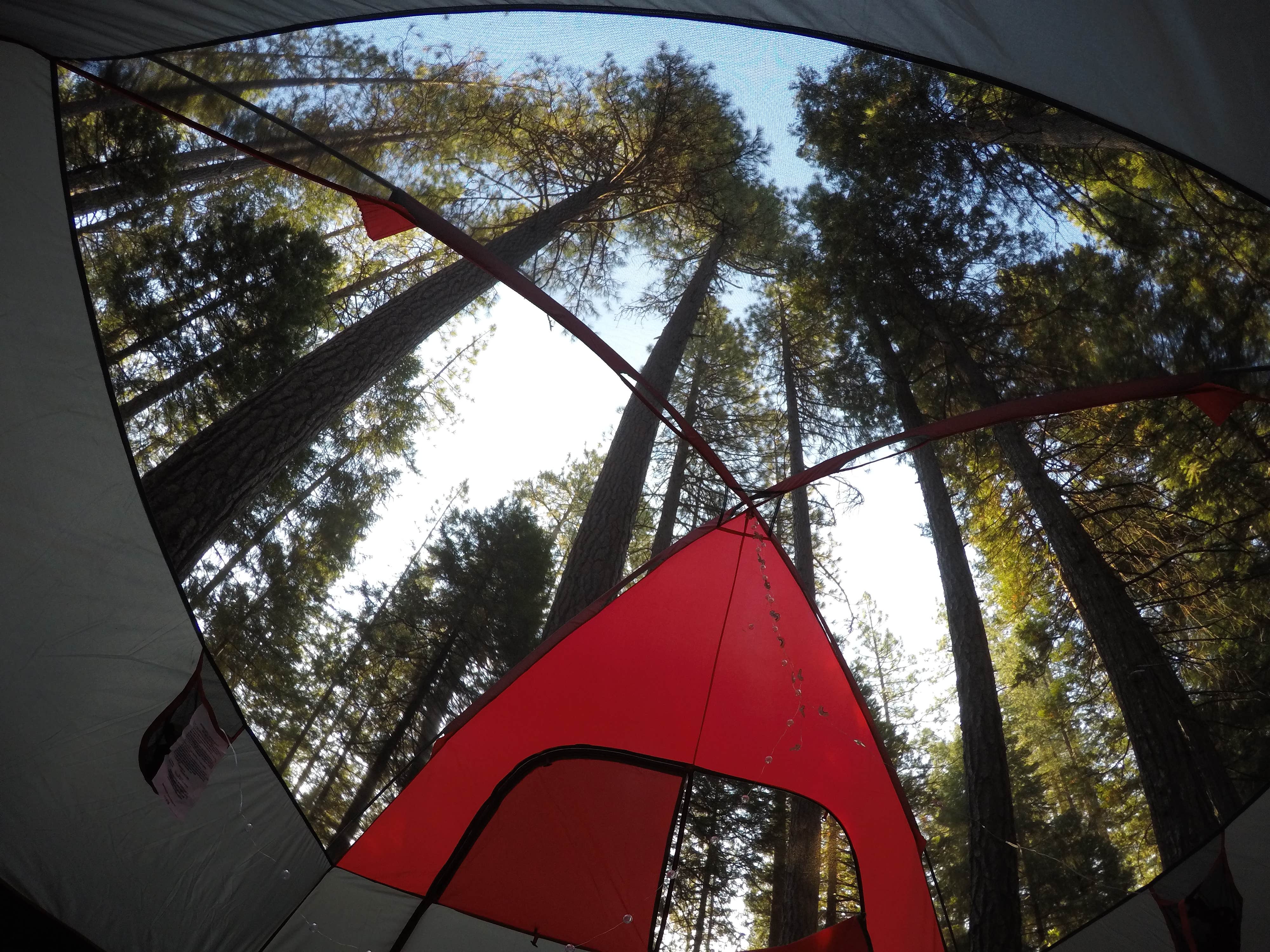 Jenkinson Campground—Sly Park Recreation Area | Pollock Pines, California