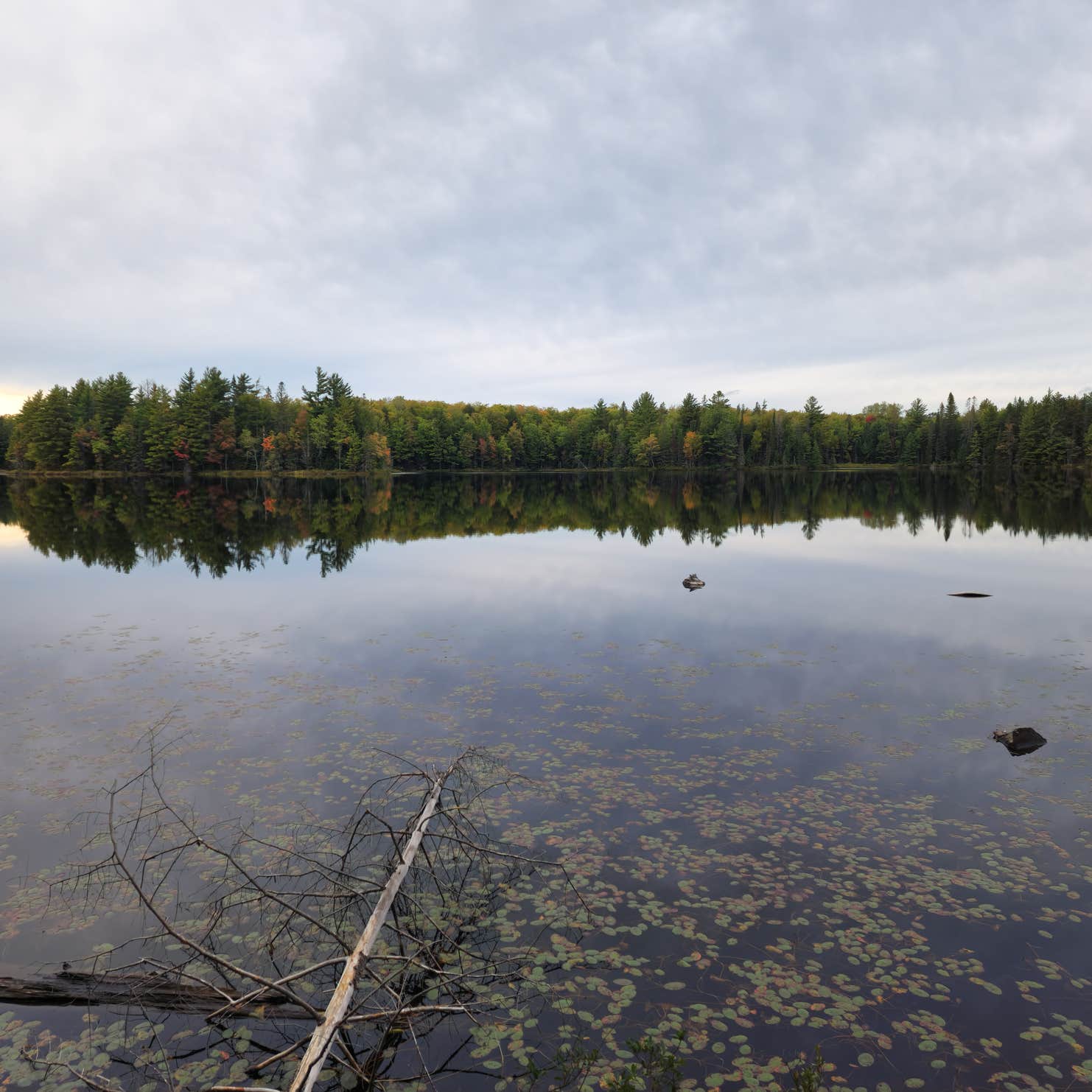 Emily Lake State Forest Campground | Nisula, Michigan