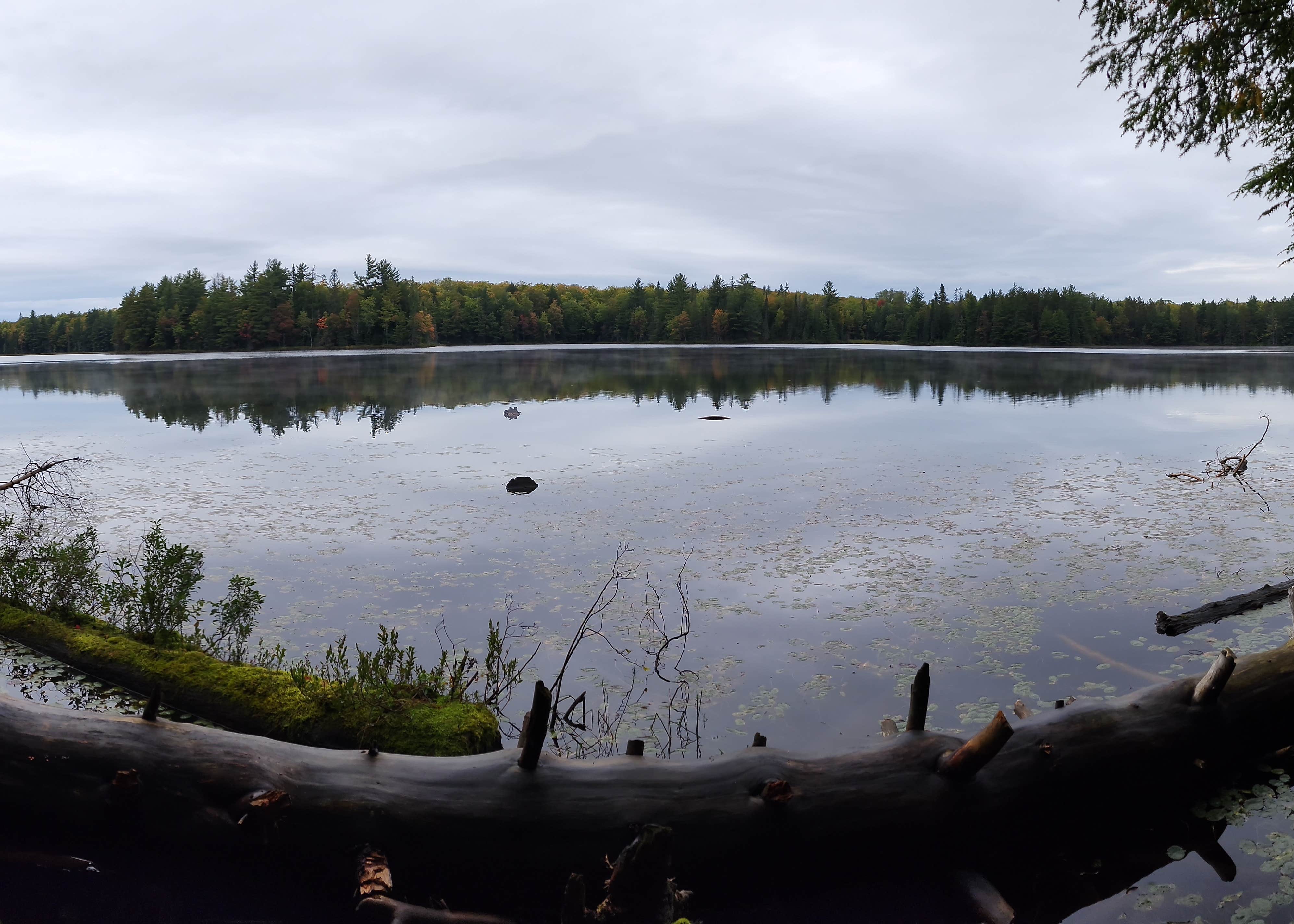 Emily Lake State Forest Campground Camping | The Dyrt