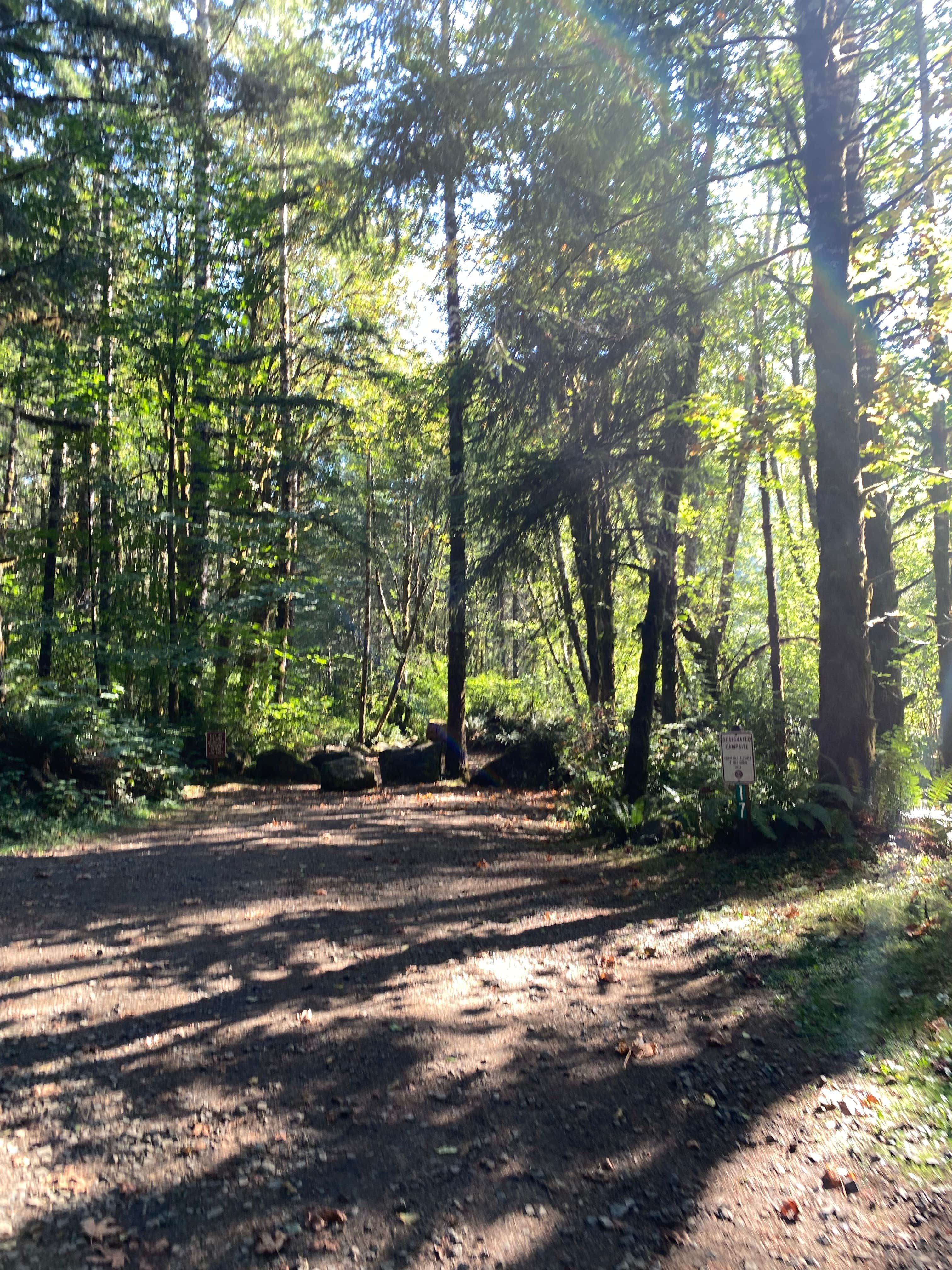 Tillamook State Forest Dispersed Camping | Tillamook State Forest, OR