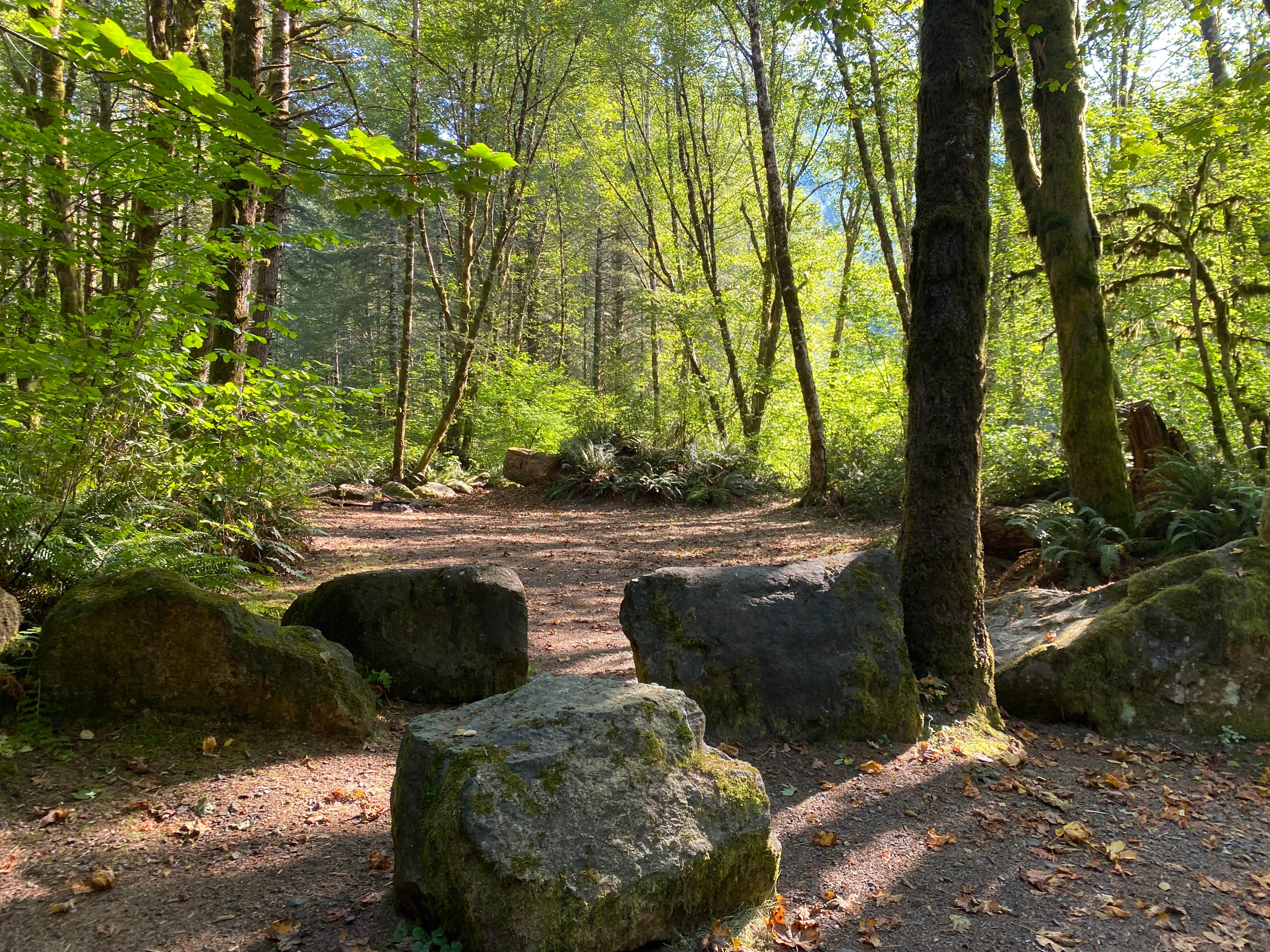 Tillamook State Forest Jordan Creek OHV Campground & Staging Area ...