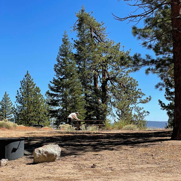 Mt. Pinos Campground | Pine Mountain Club, CA