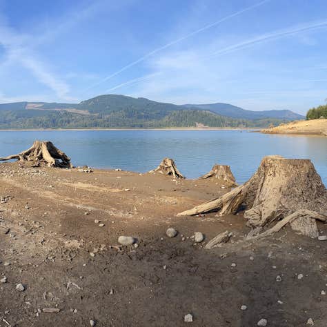 Riffe Lake Campground Camping | The Dyrt