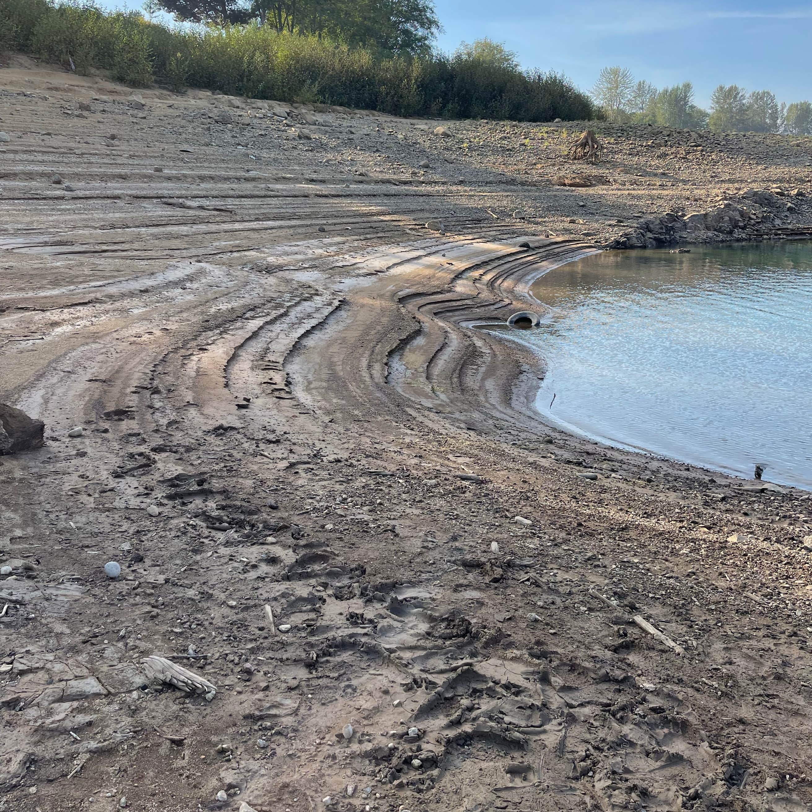 Riffe Lake Campground | Mossyrock, Washington