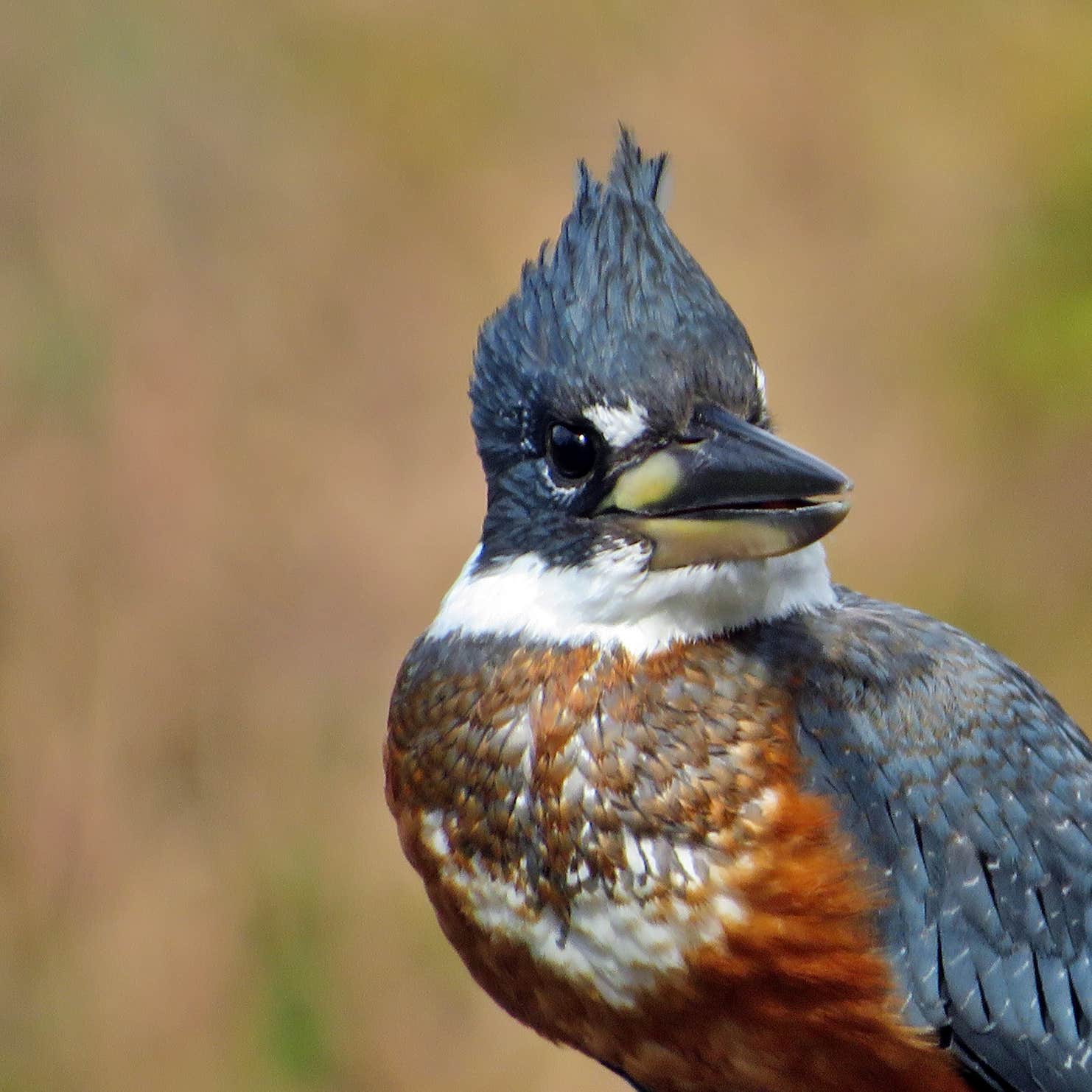 Parkview Riverside RV Park | Concan, Texas