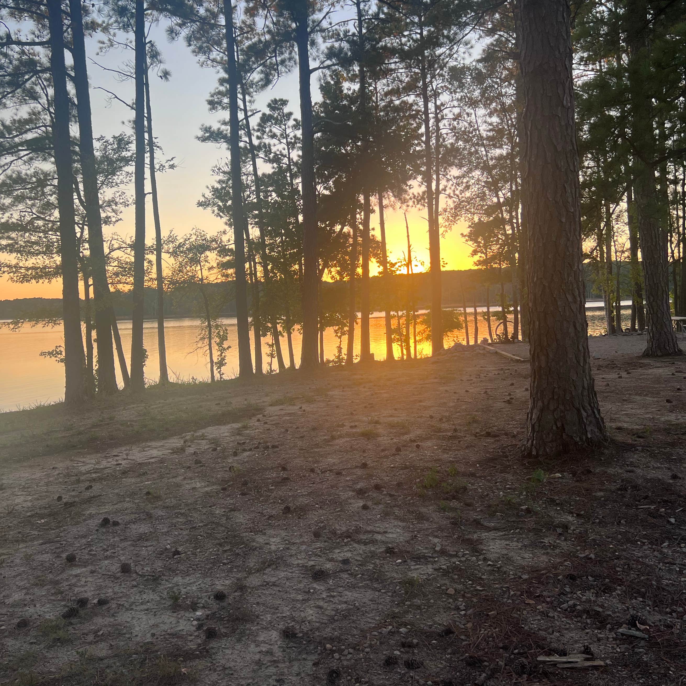 Henderson Point Campground — Kerr Lake State Recreation Area | Boydton ...