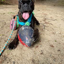 Meredith Woods Four Season Camping Camping | The Dyrt