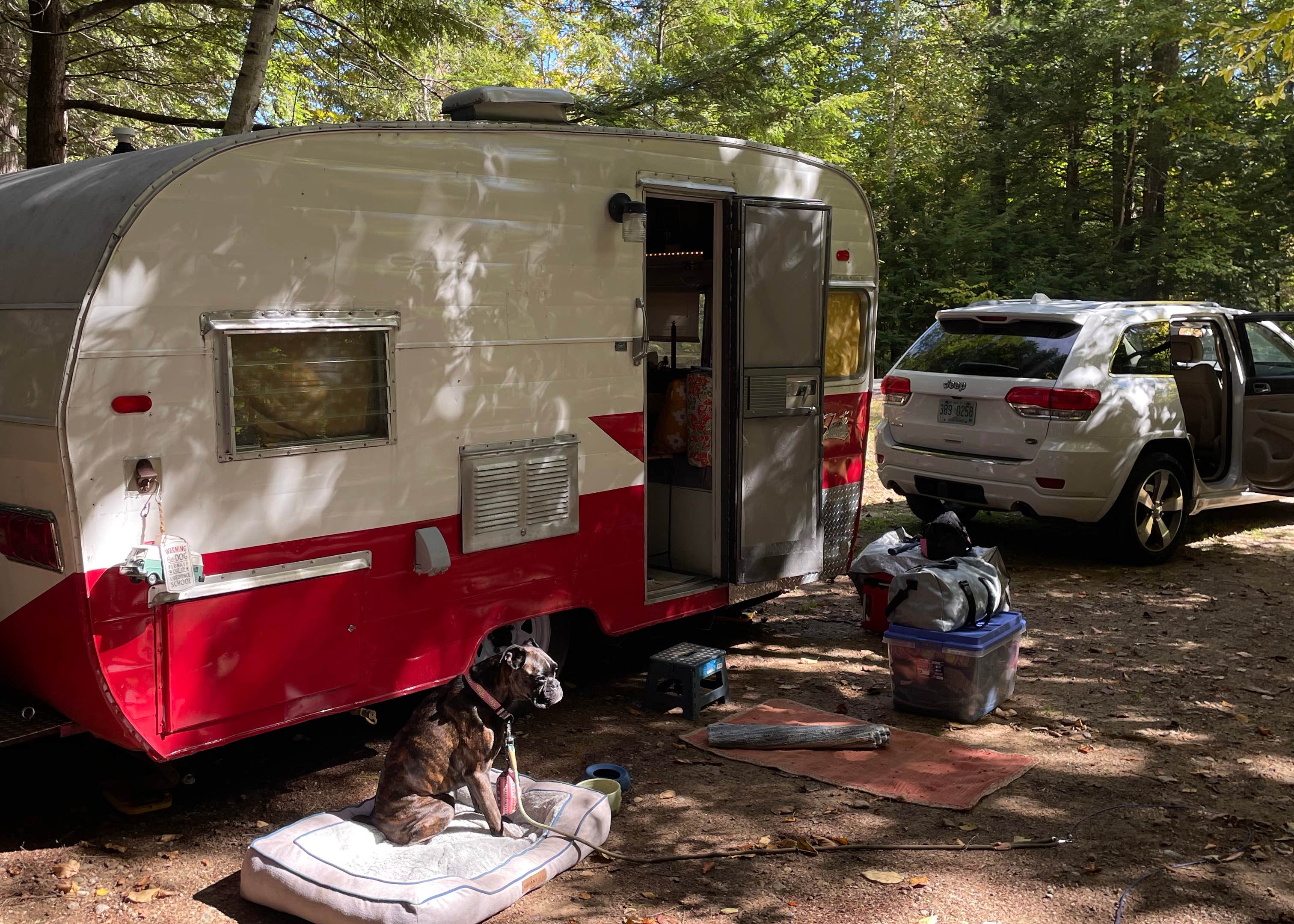 Meredith Woods Four Season Camping Camping | The Dyrt