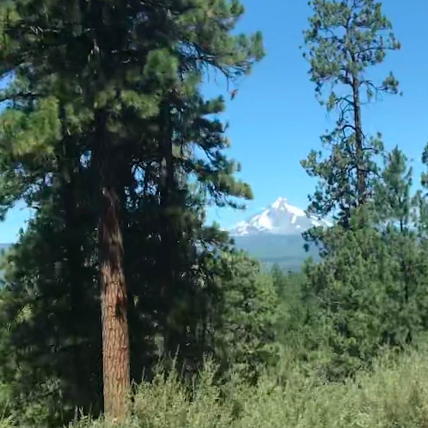 Smiling River Campground Camping | The Dyrt