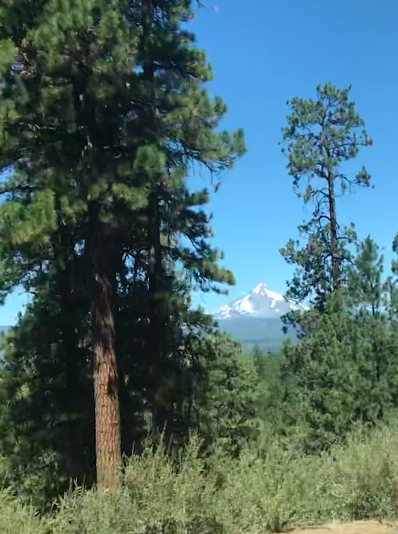 Smiling River Campground | Sisters, OR
