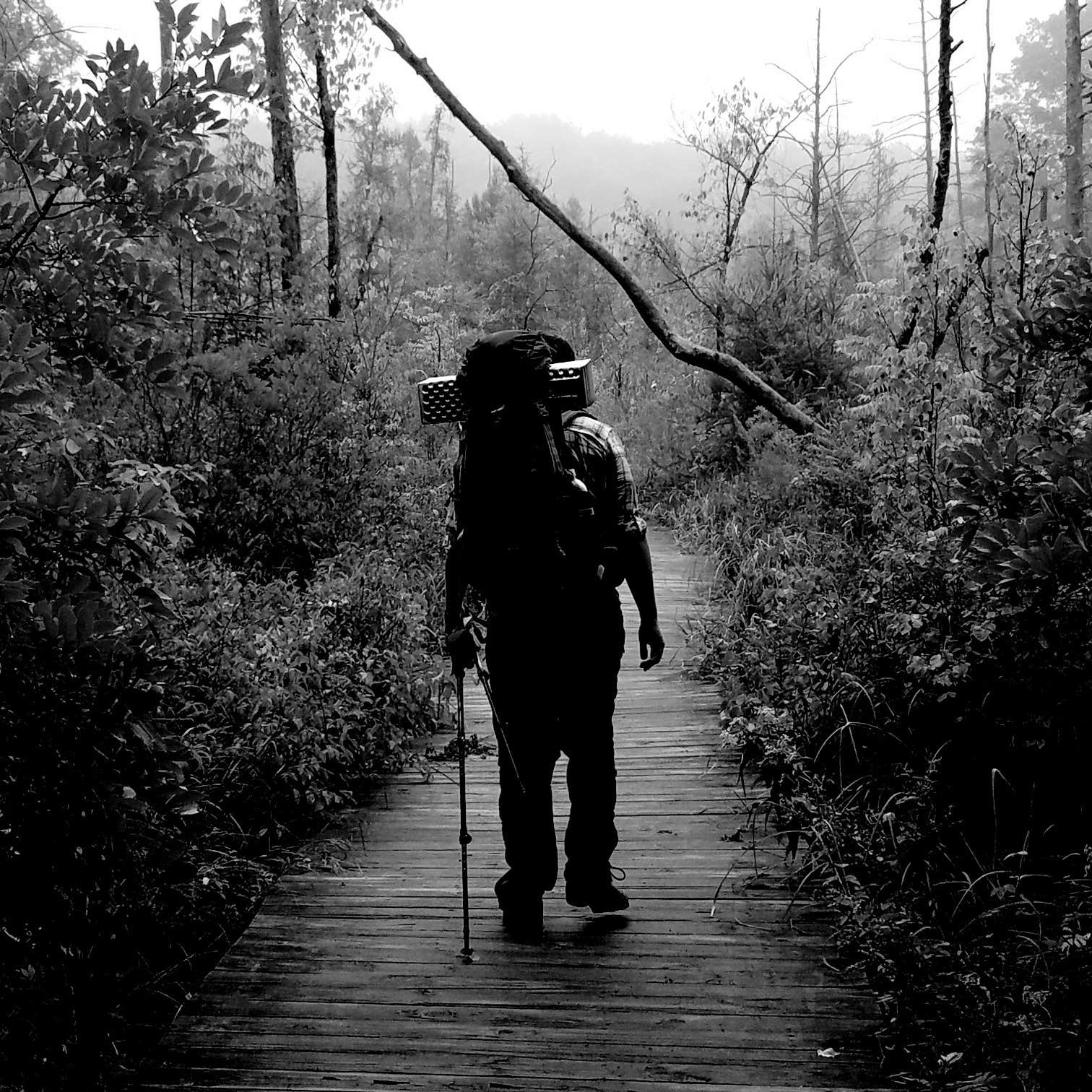 Pinckney-Blind Lake Rustic (hike-in) Camping | The Dyrt