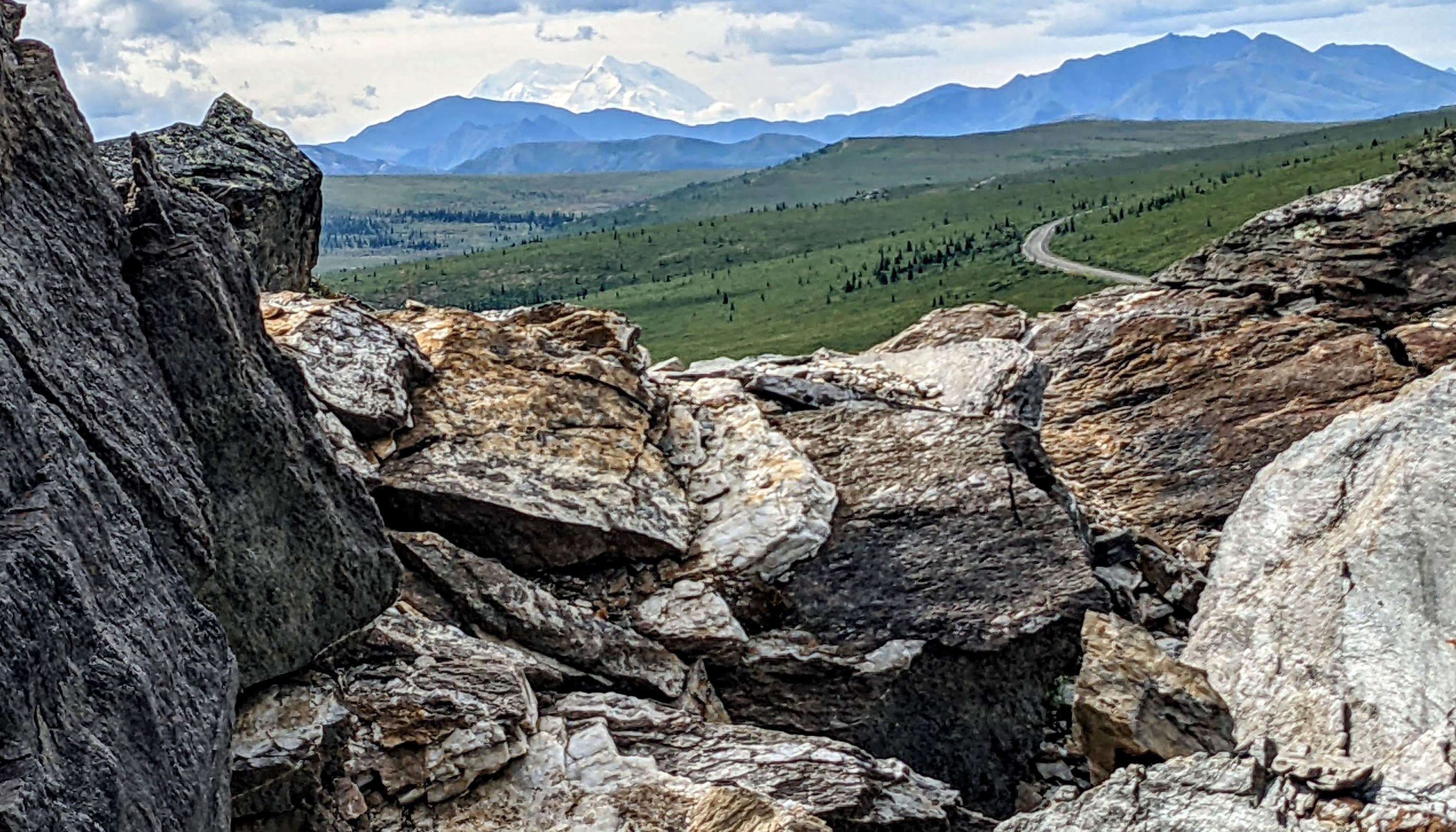 Denali National Park Camping Guide