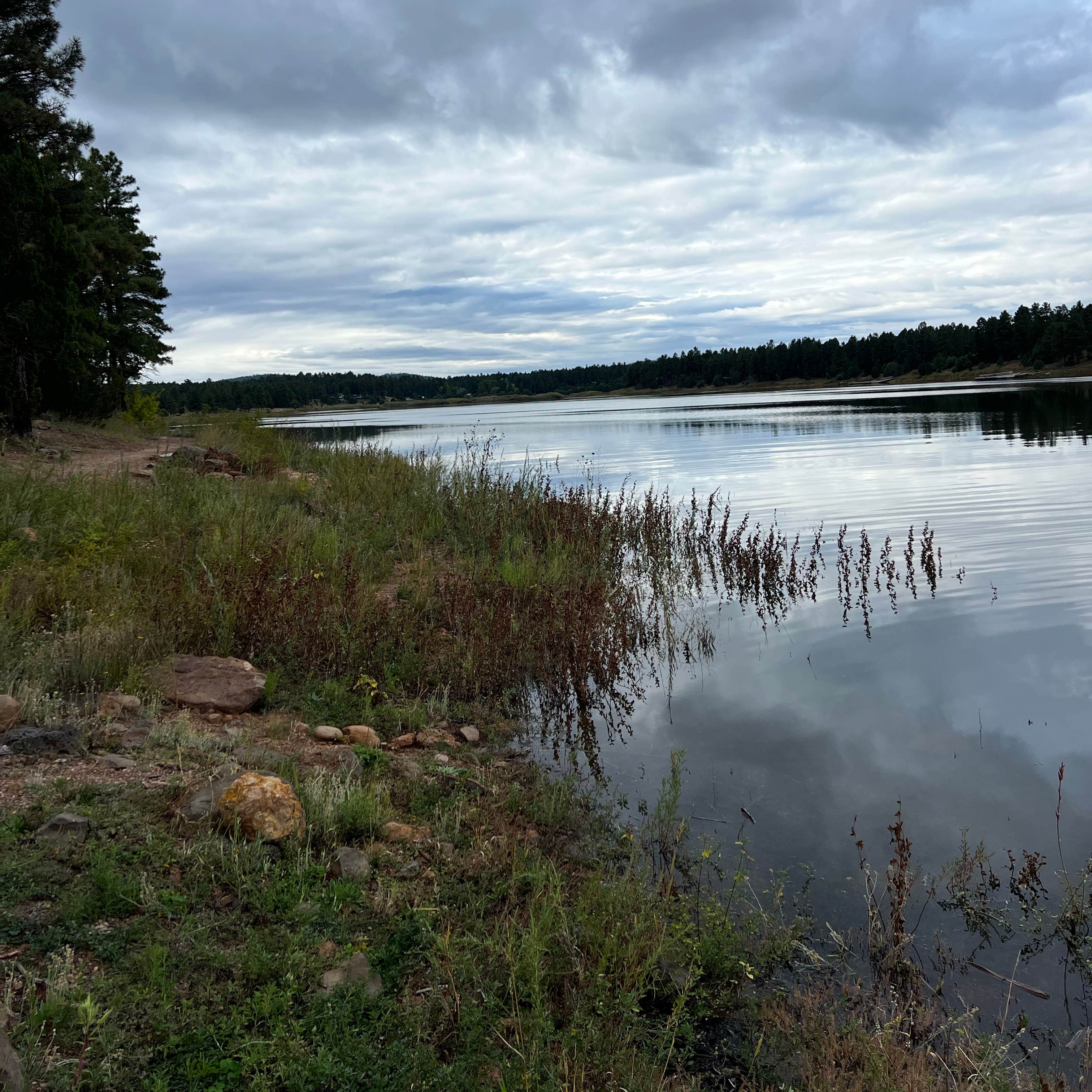 Fool Hollow Lake Recreation Area Campground | Show Low, AZ