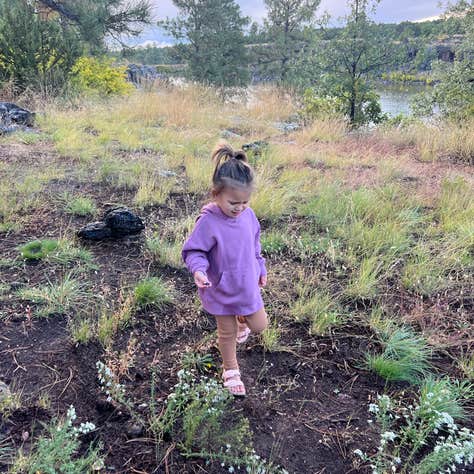 Fool Hollow Lake Recreation Area Campground | Show Low, AZ