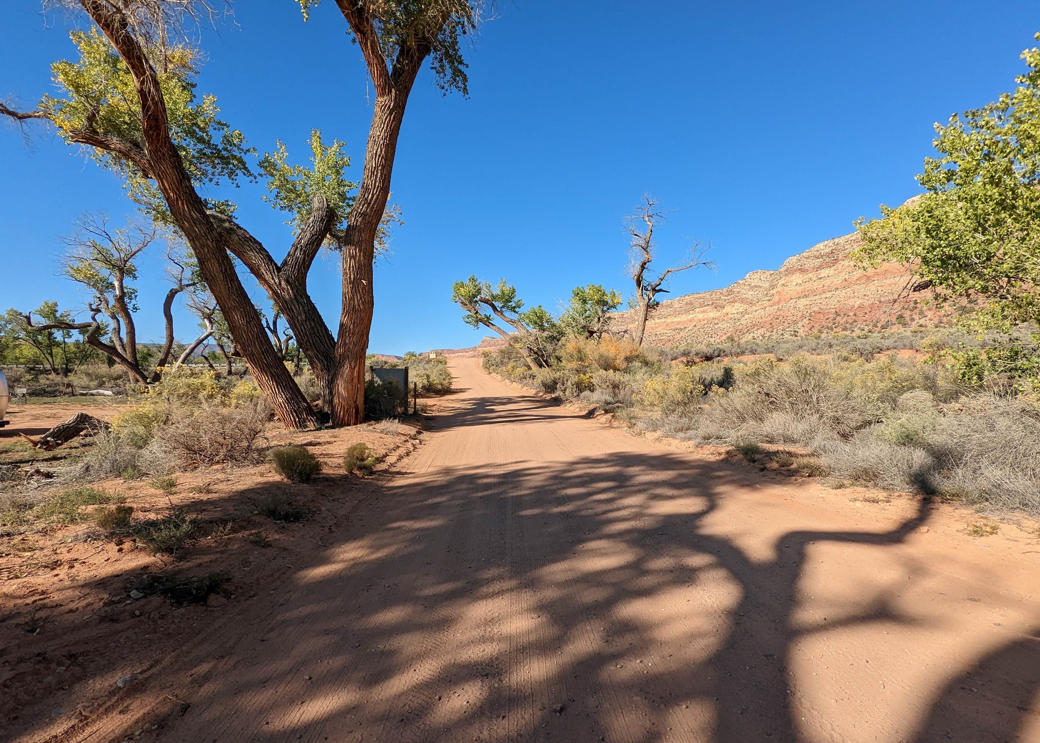 Comb Wash Dispersed Camping Area Camping | The Dyrt