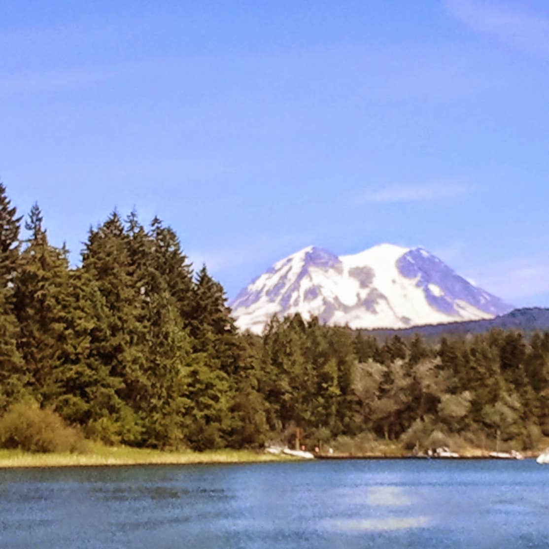Alder Lake Park Camping | Eatonville, WA | The Dyrt