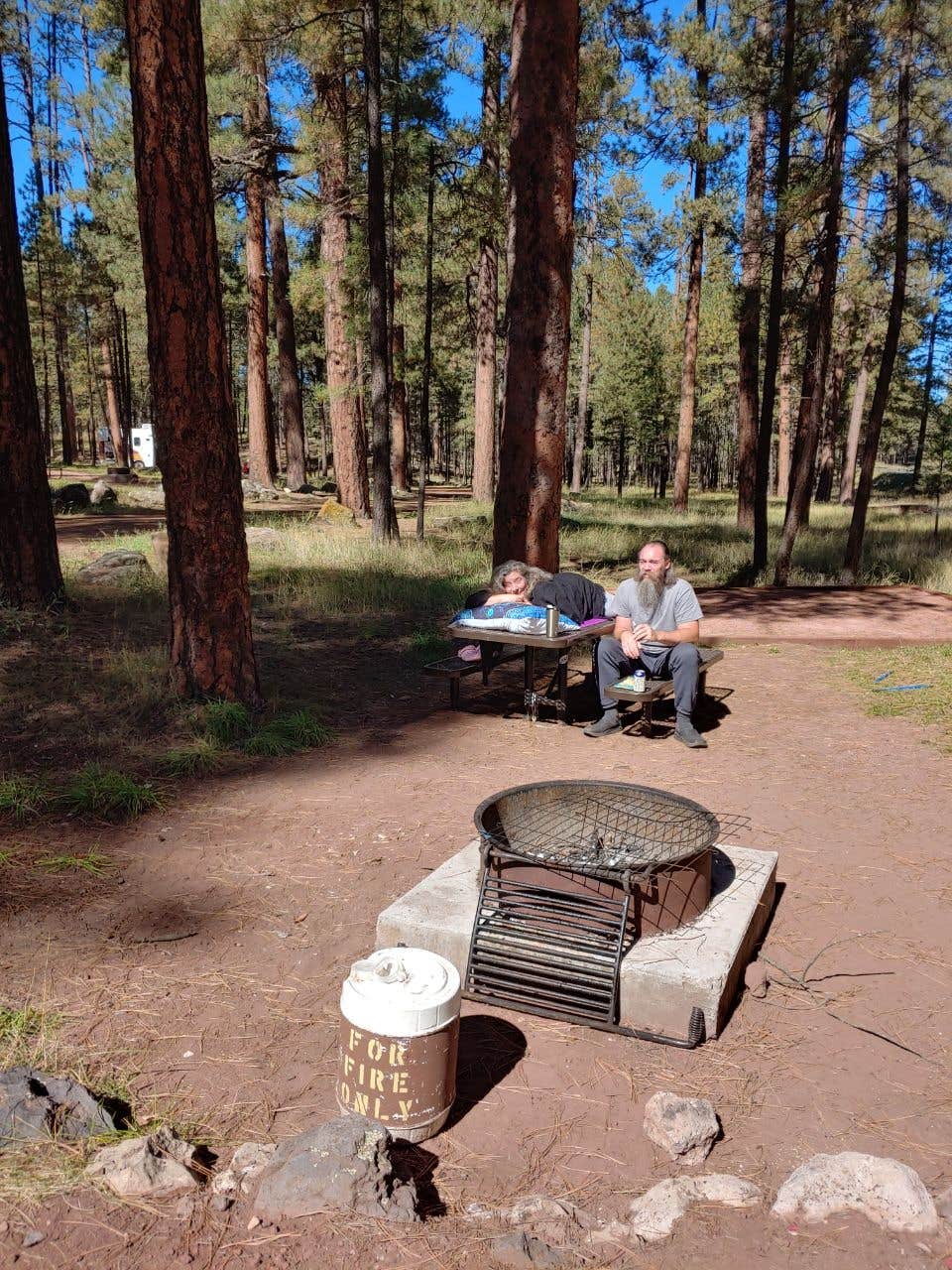 Clints Well Campground | Happy Jack, AZ