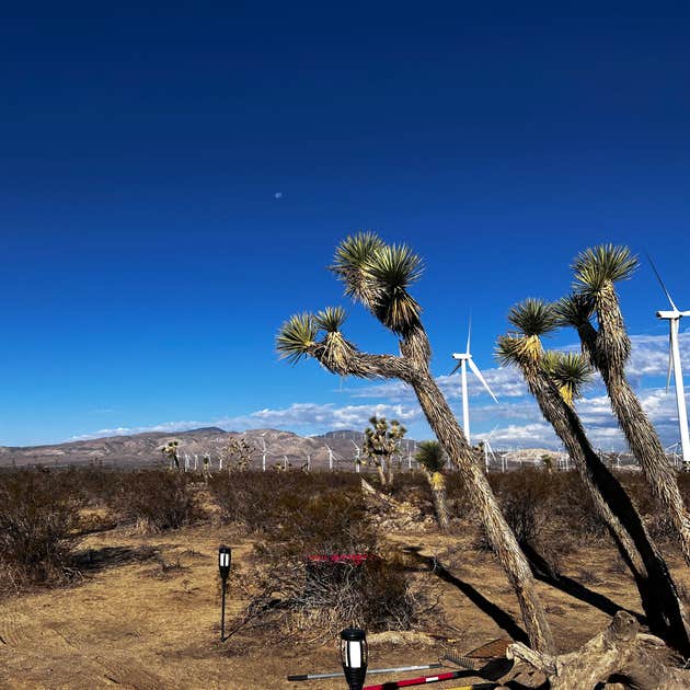 Wind Walker Ranch - (NOT able to take bookings at the moment) Camping ...