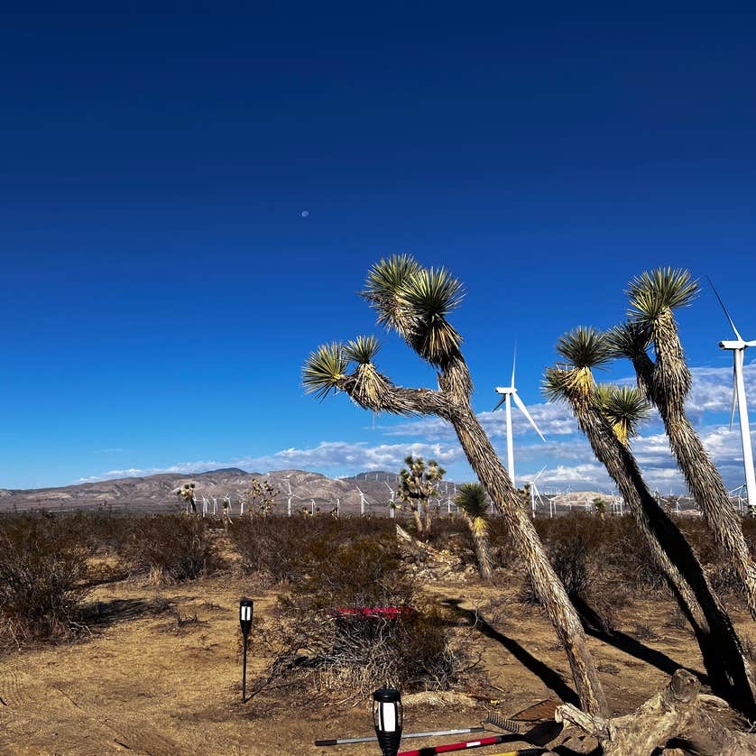 Wind Walker Ranch - (NOT able to take bookings at the moment) Camping ...