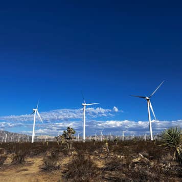 Wind Walker Ranch - (NOT able to take bookings at the moment) Camping ...