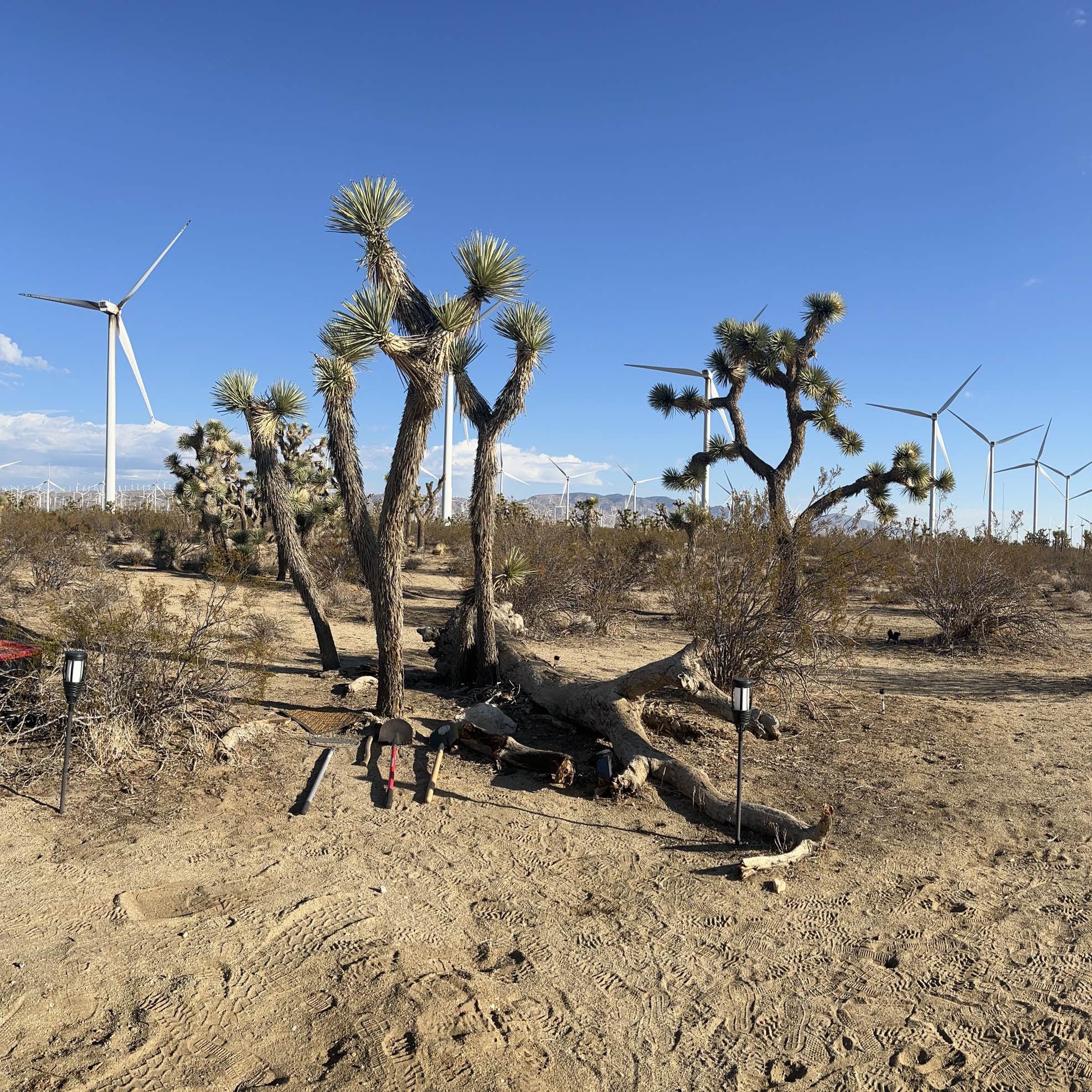 Wind Walker Ranch - (NOT able to take bookings at the moment) Camping ...