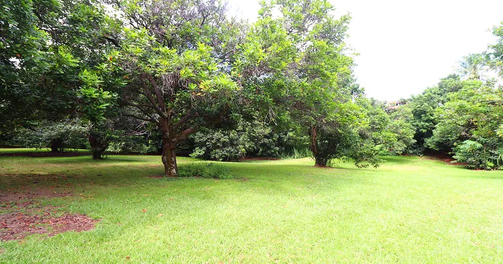 Camper-Submitted Photos of Kelly Rene