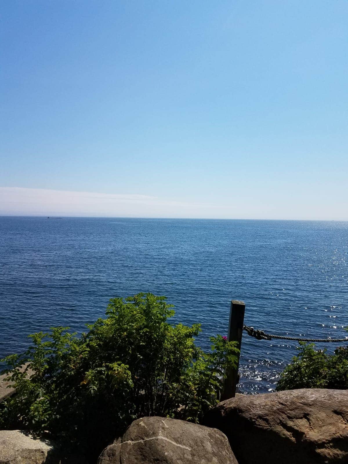 Meguniticook by the Sea Campground | Rockport, ME