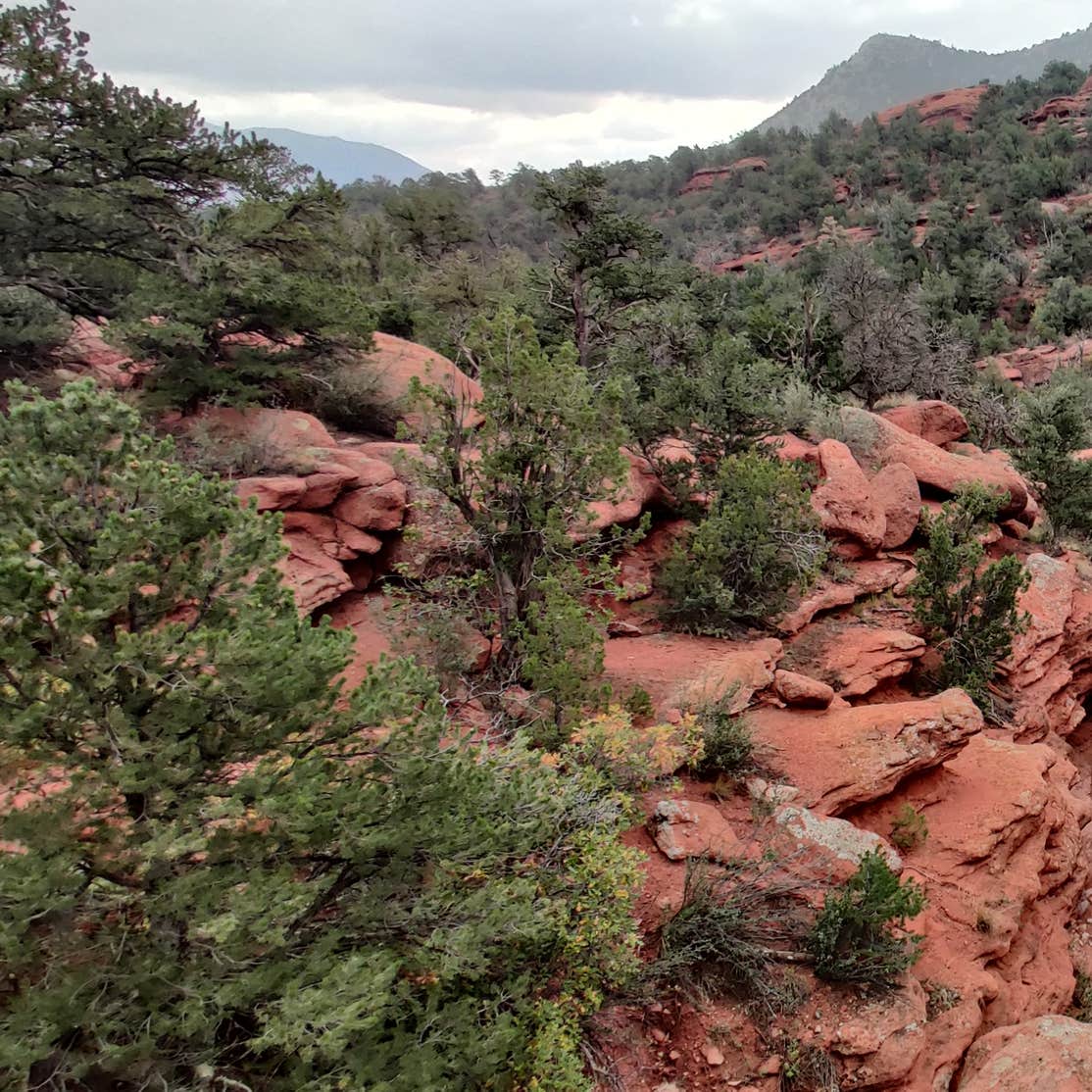 Red Canyon Park Camping | The Dyrt