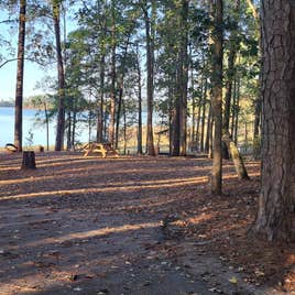 Hamilton Branch State Park Campground | Modoc, South Carolina