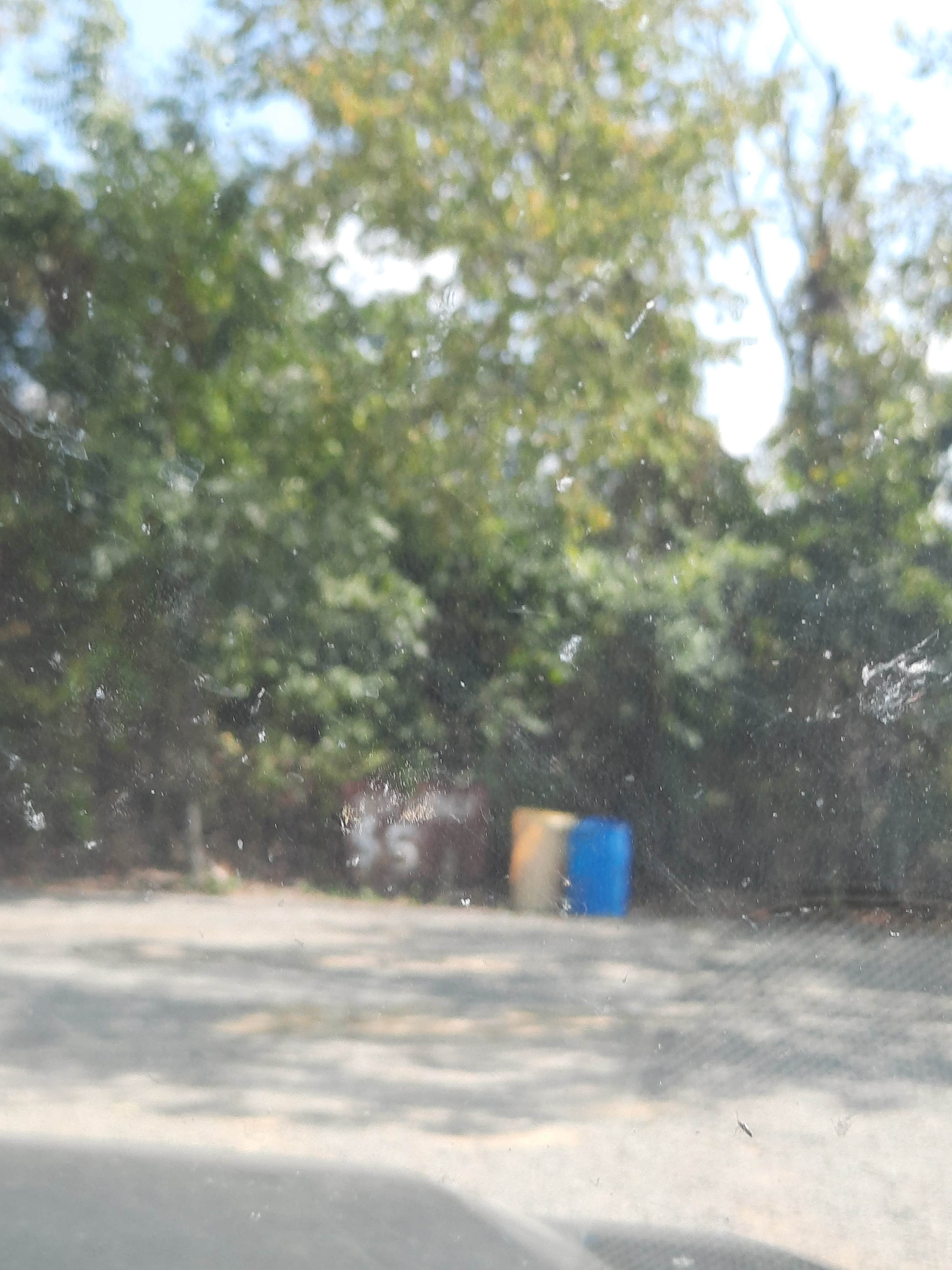 Gold Creek Landing RV Park | Mayflower, AR