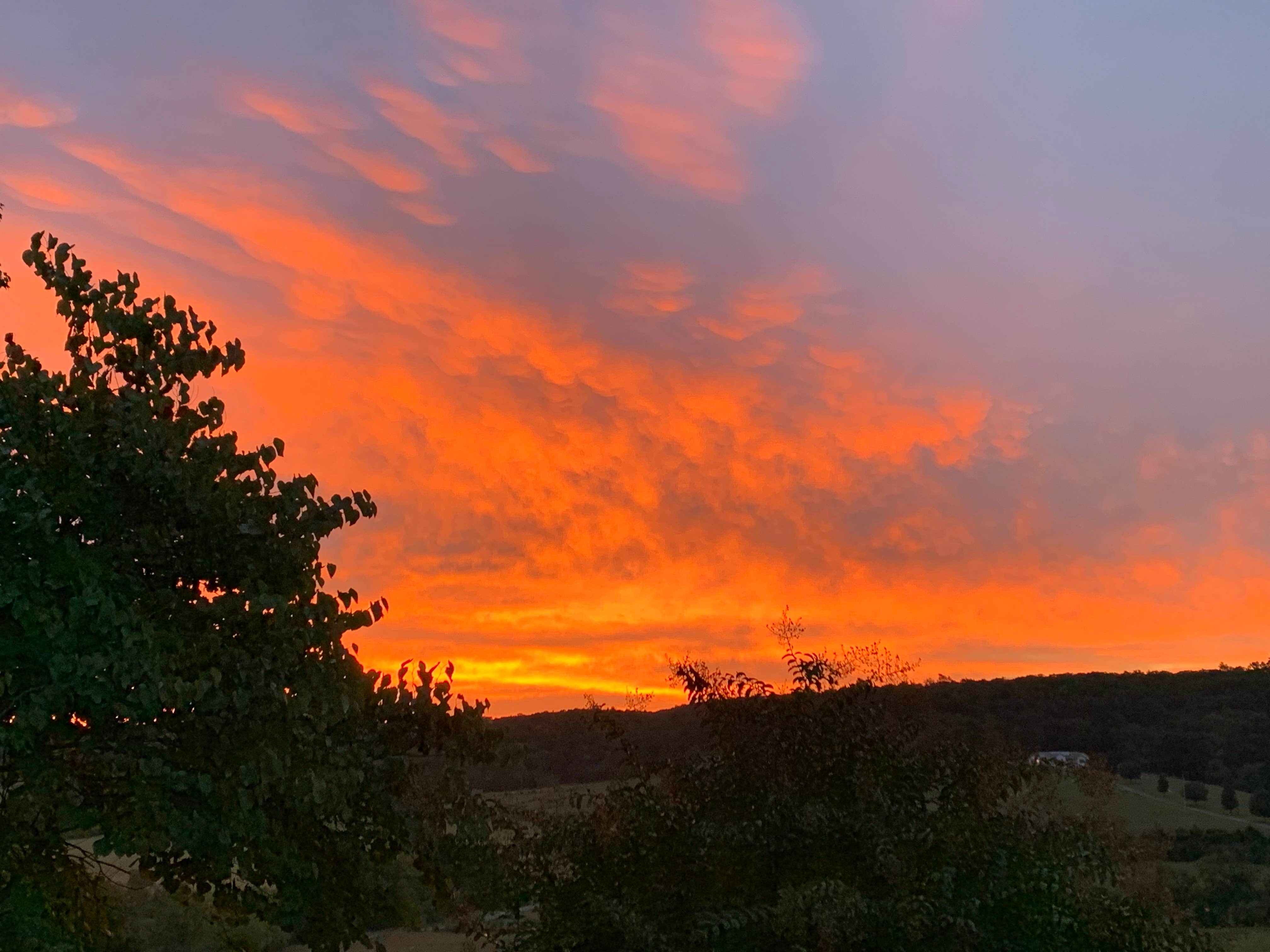 HylcharmFarm Camping | Cross Junction, VA