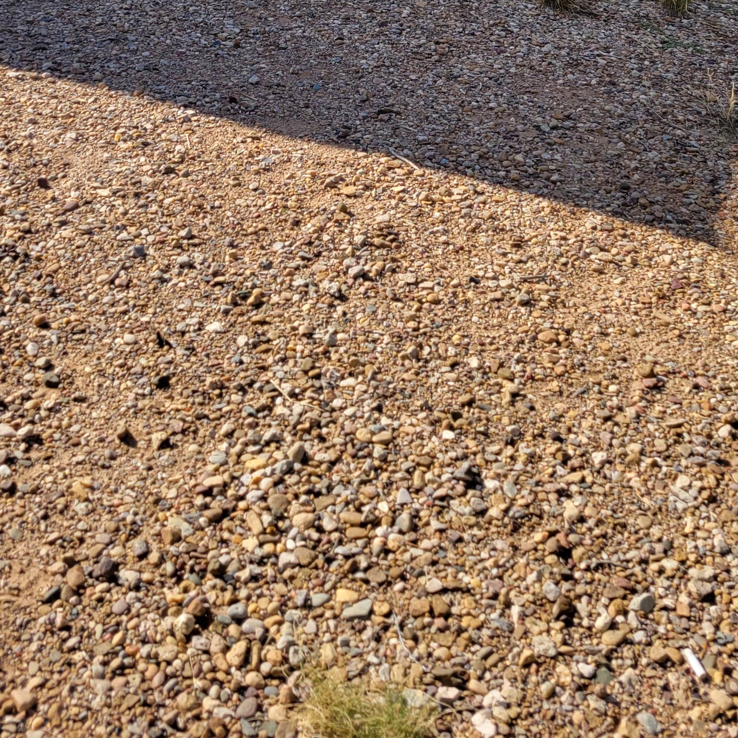 Cove Campground — Conchas Lake State Park | Conchas Dam, NM