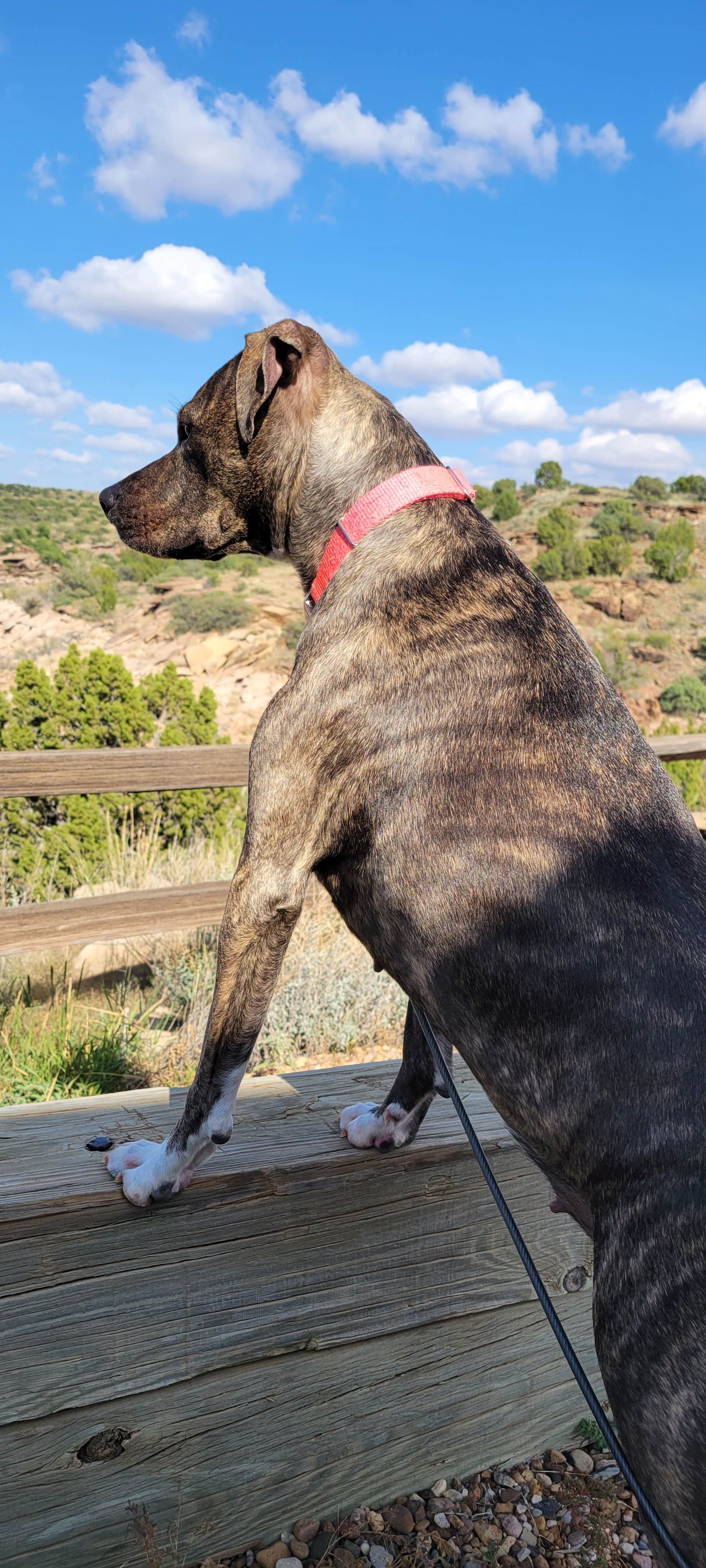 Cove Campground — Conchas Lake State Park | Conchas Dam, New Mexico