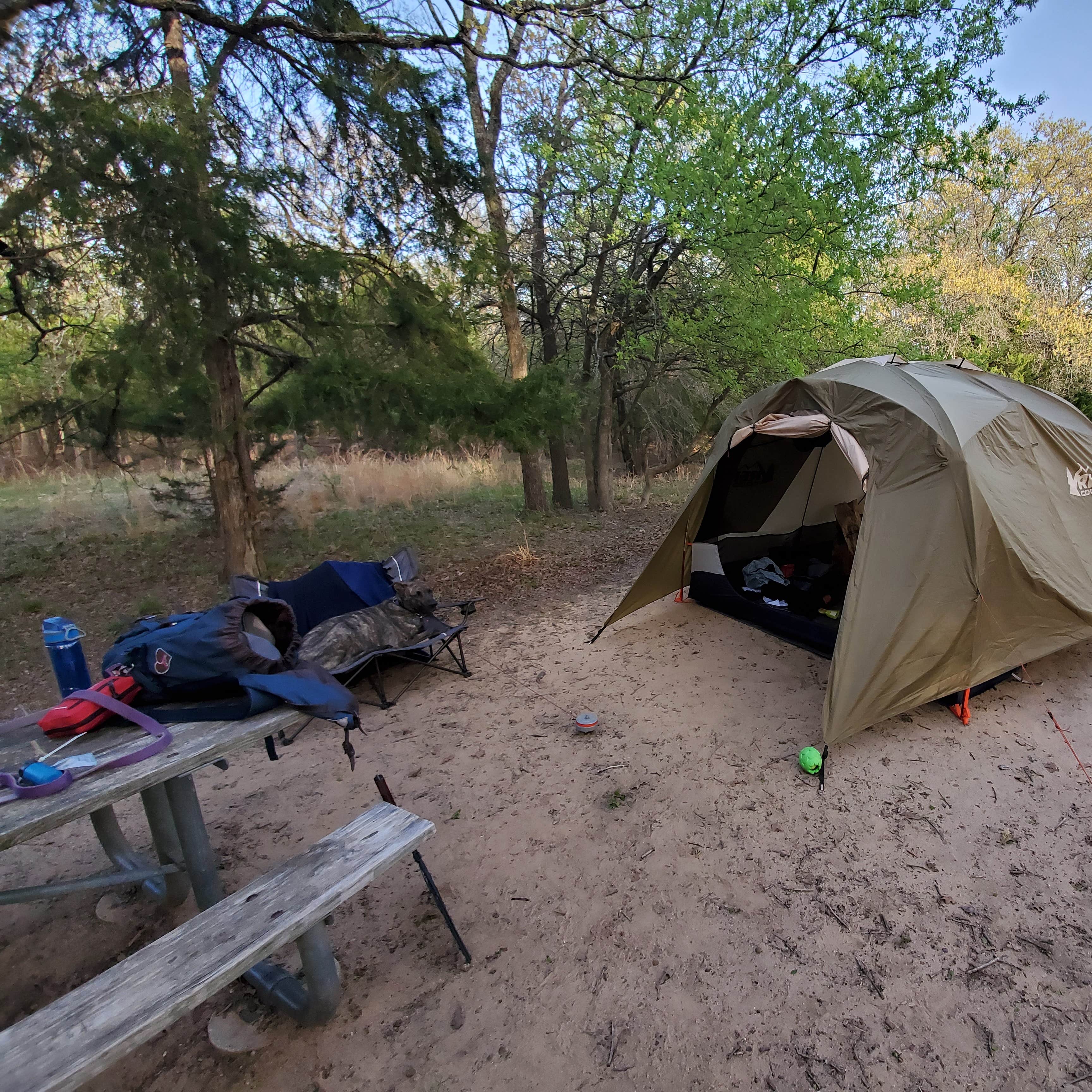 Isle du Bois — Ray Roberts Lake State Park Camping | Pilot Point, TX