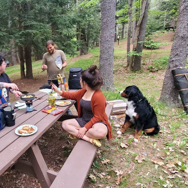Otter River State Forest Camping | Baldwinville, MA