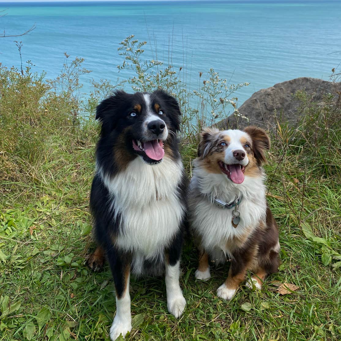 Cliffside Park Campground | Caledonia, Wisconsin