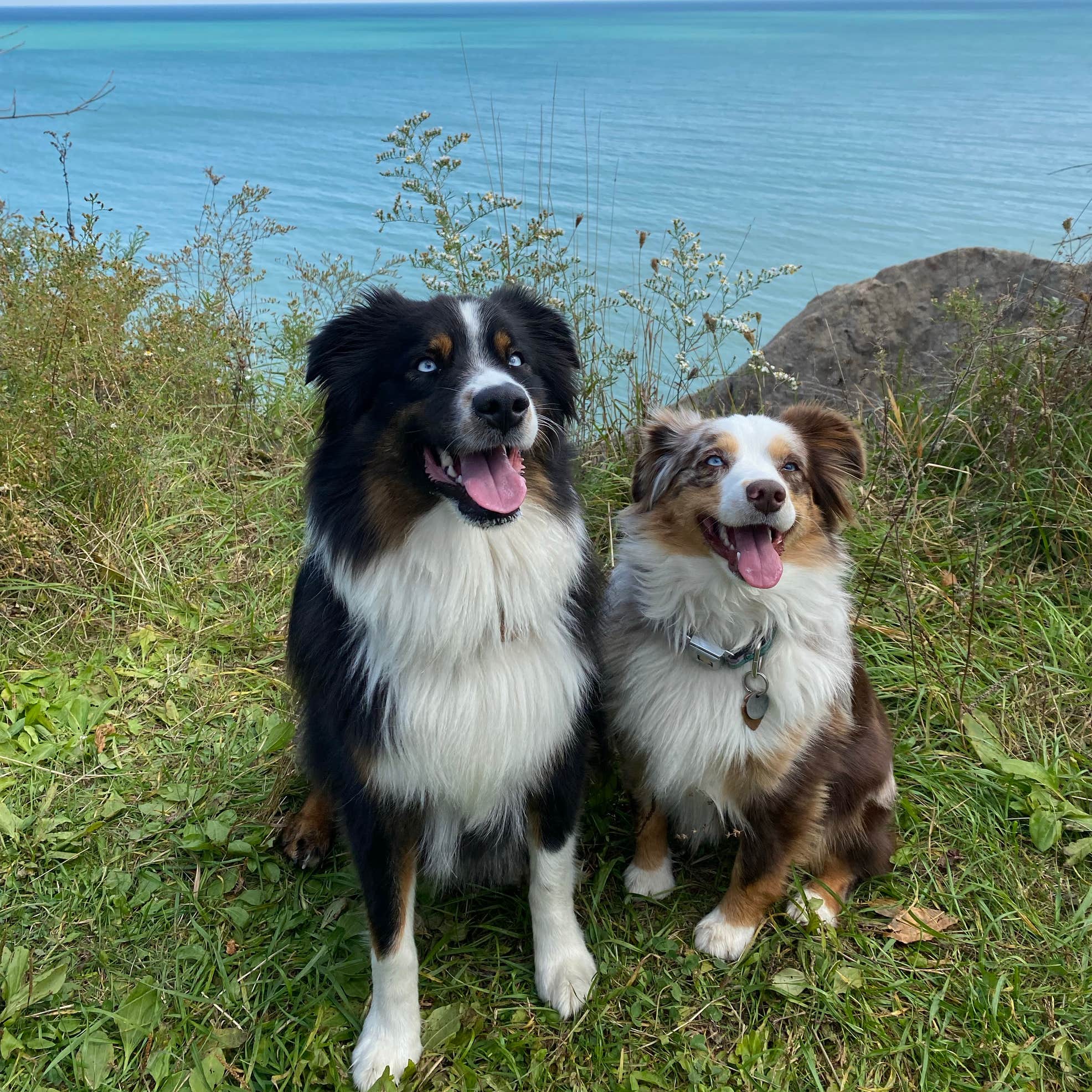 Cliffside Park Campground | Caledonia, Wisconsin