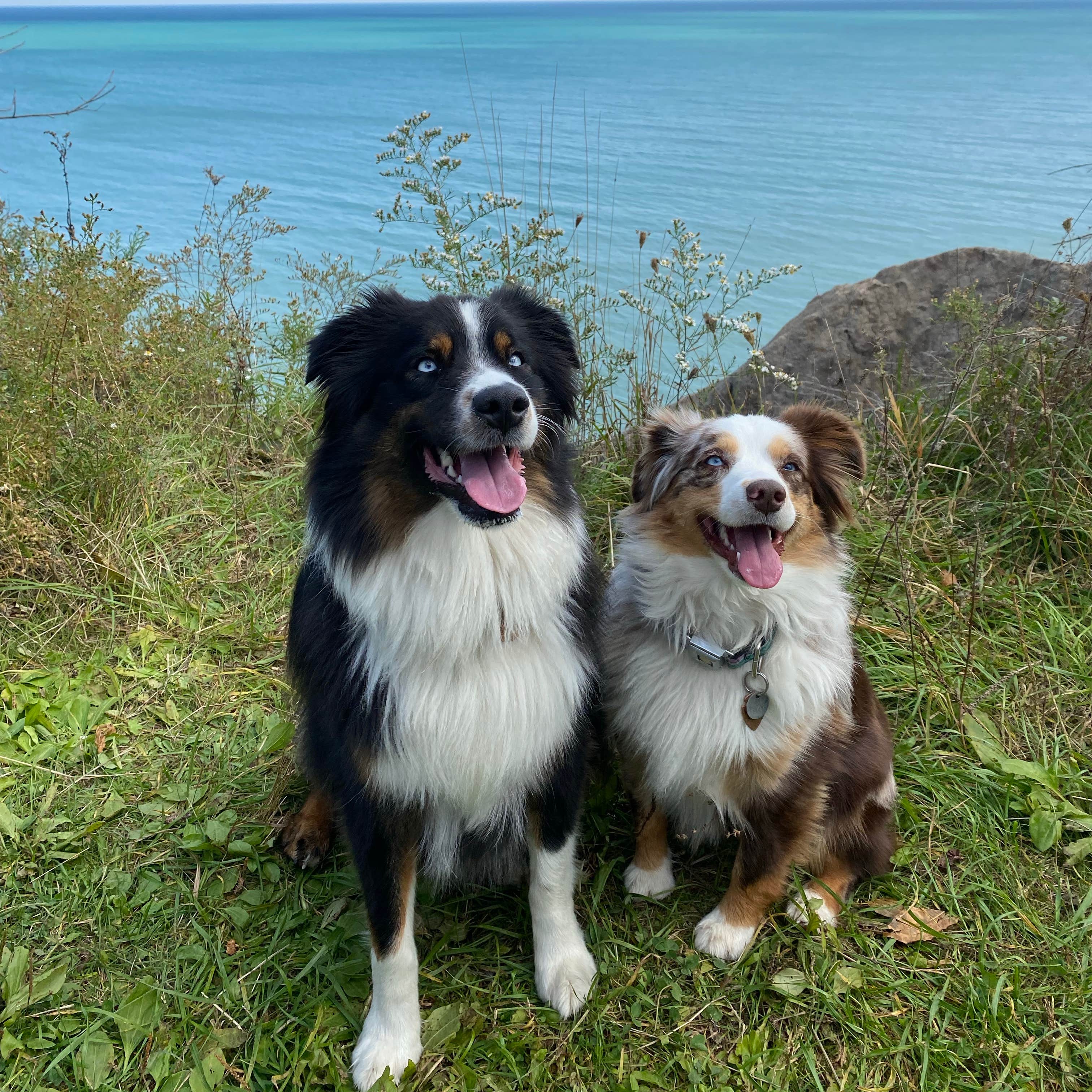 Cliffside Park Campground | Caledonia, Wisconsin