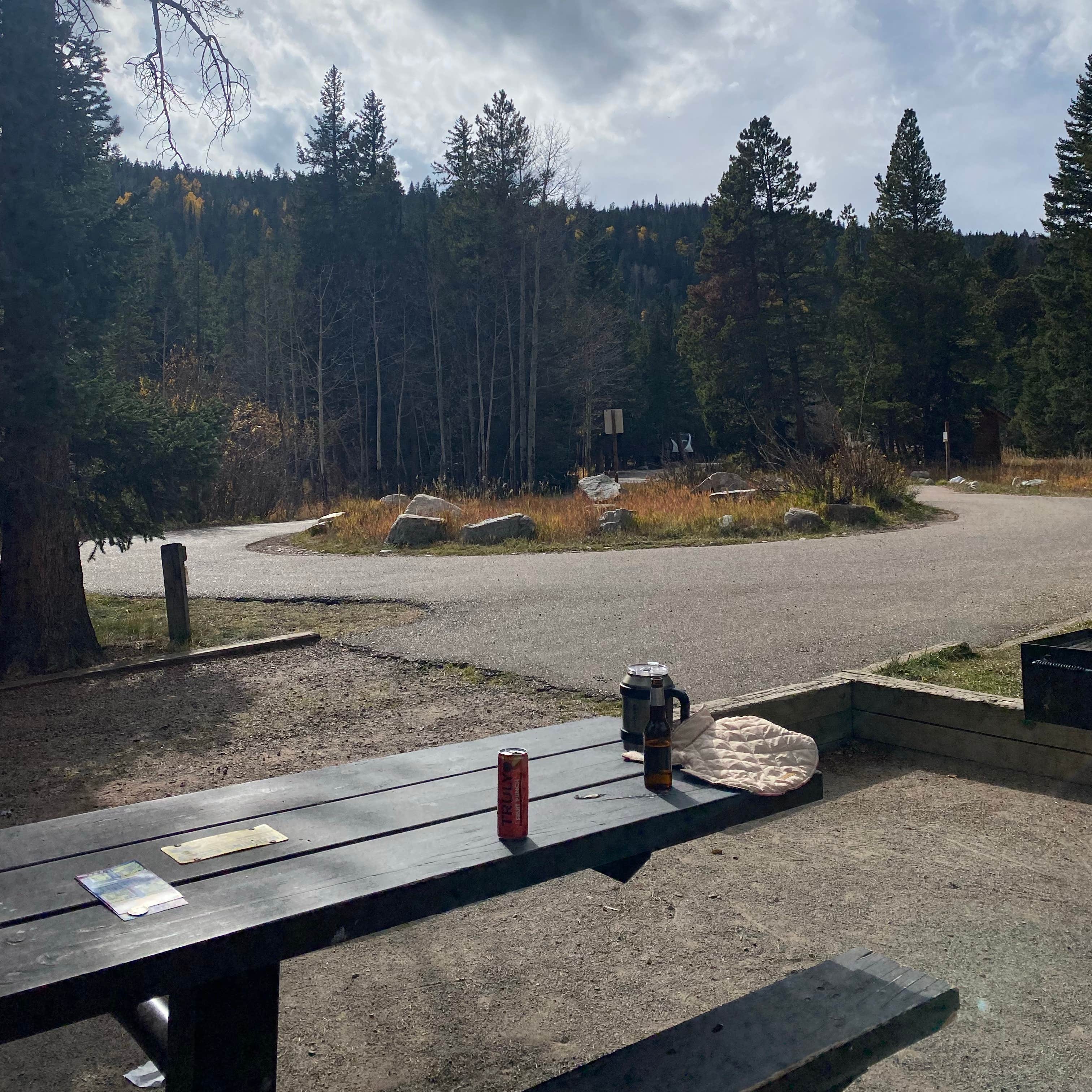 Roosevelt National Forest Camp Dick Campground | Ward, Colorado