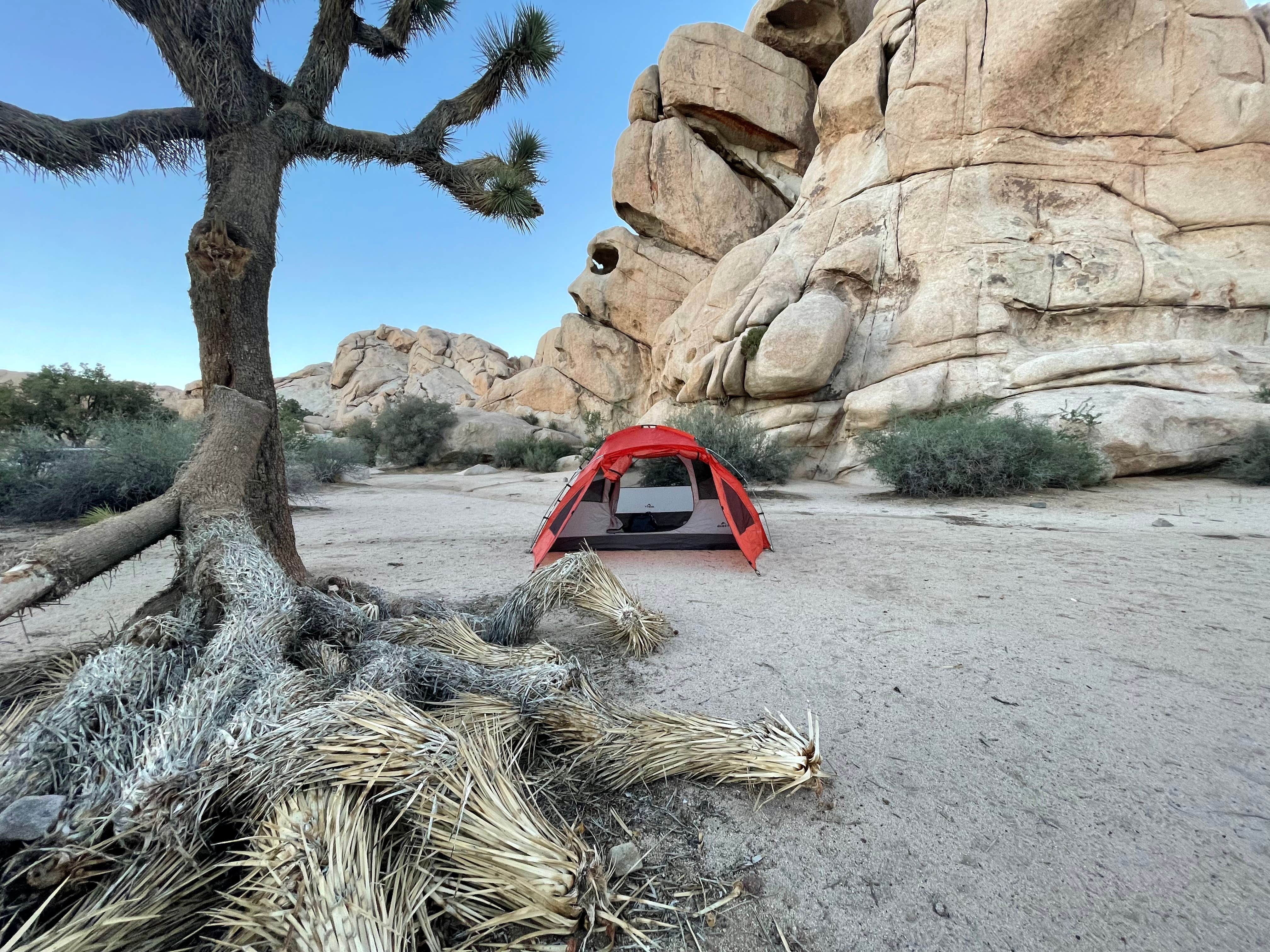 Hidden Valley Campground Joshua Tree National Park Twentynine Palms California