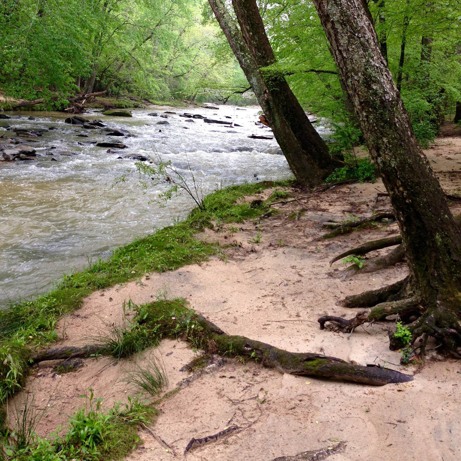 Croft State Park Camping | The Dyrt