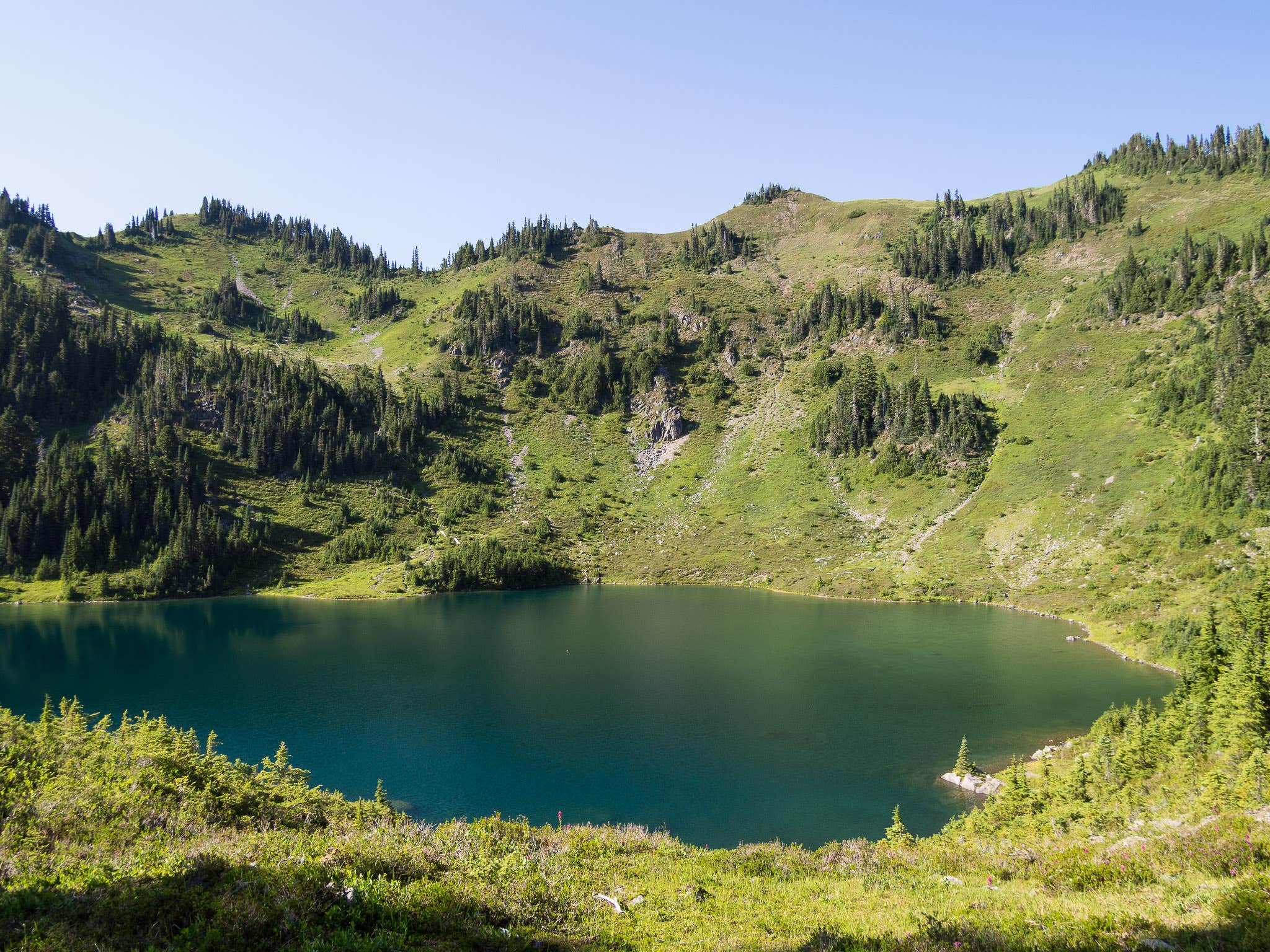 Hoh Campground — Olympic National Park | Forks, WA