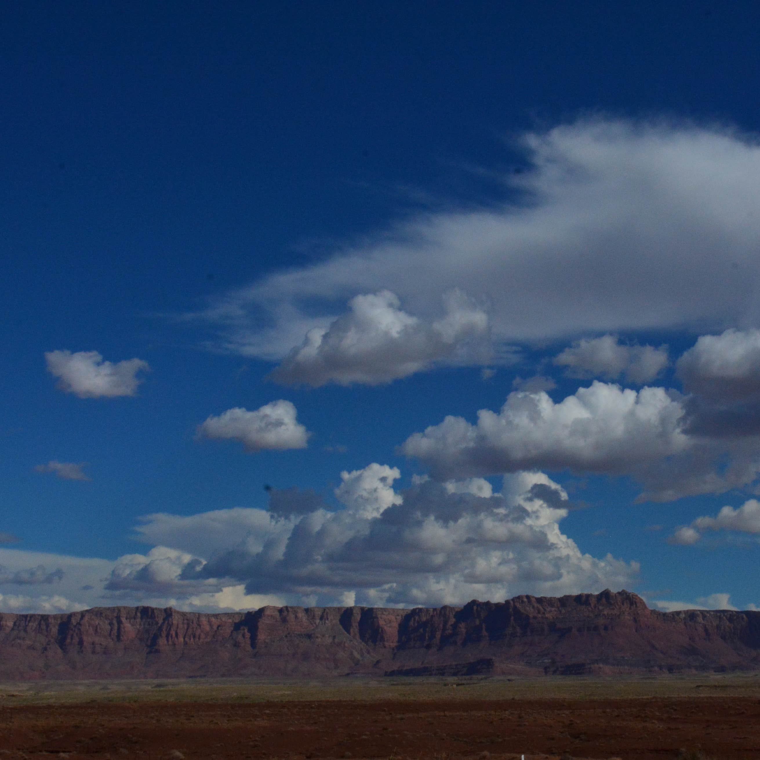 Sheep Bridge BLM Area (Hurricane Cliffs Trail System) - Utah Camping ...
