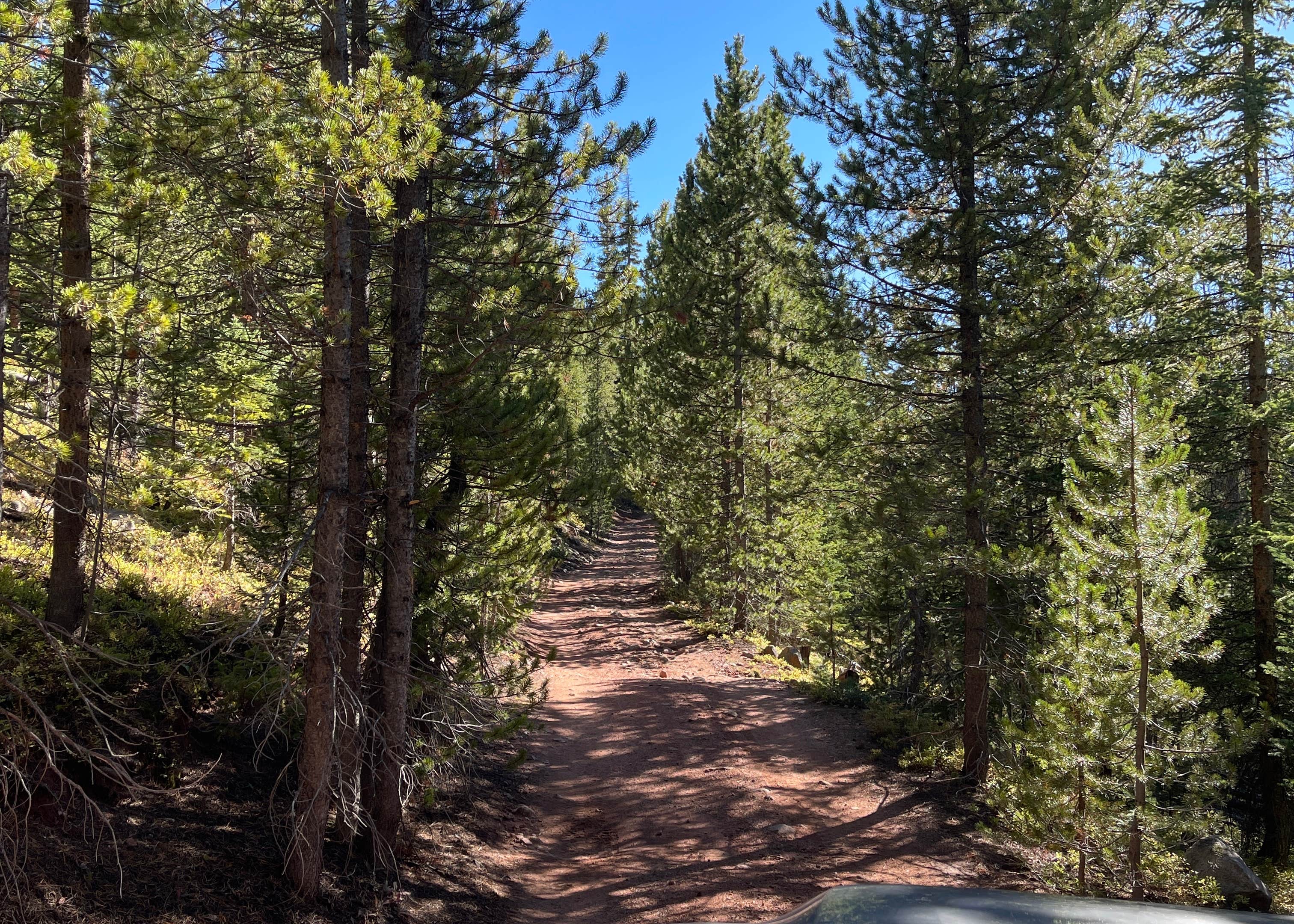 Rampart Range Area Dispersed Campsite Camping | The Dyrt