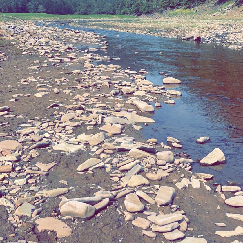 Savage River State Forest Camping | Grantsville, Maryland