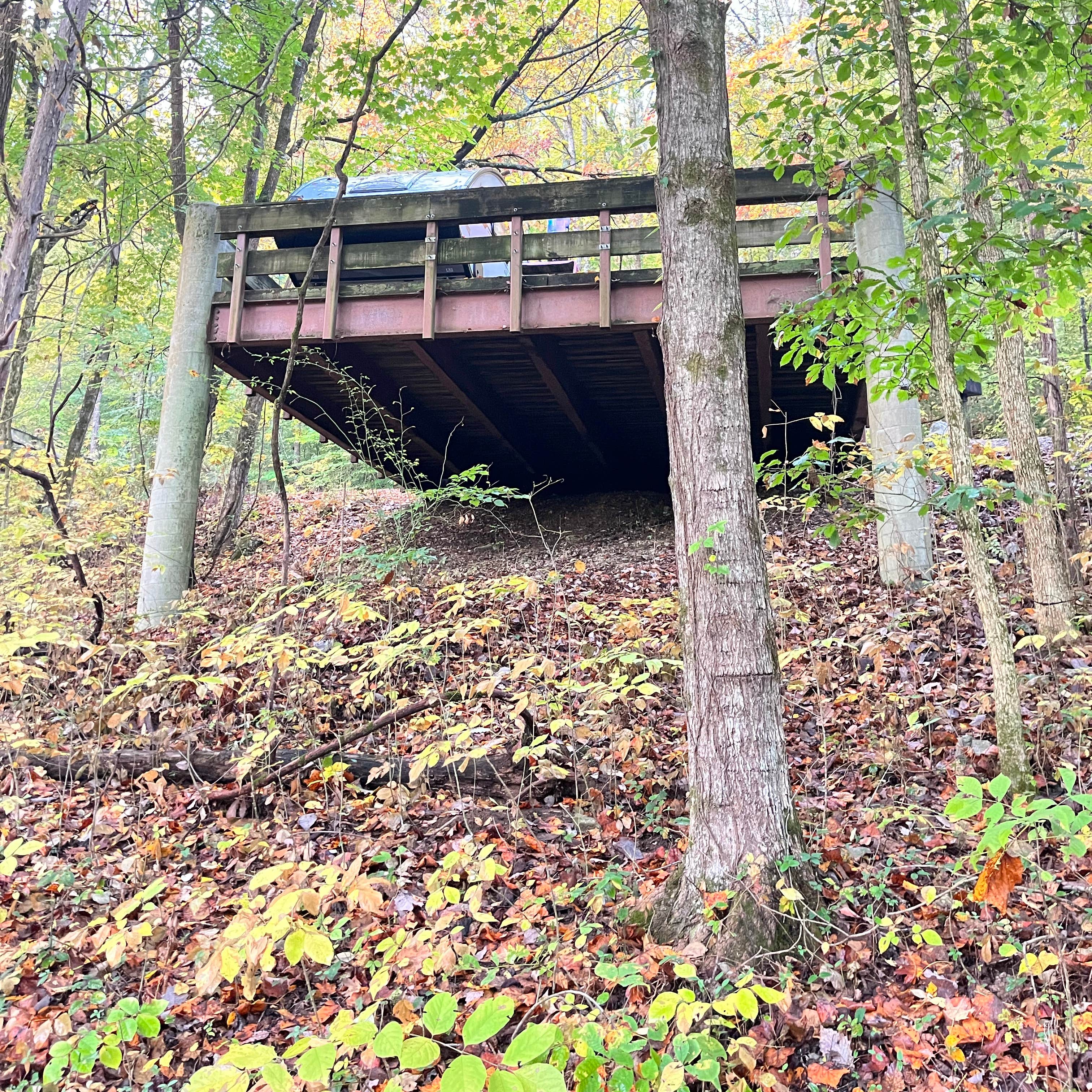 Edgar Evins State Park Campground | Lancaster, Tennessee