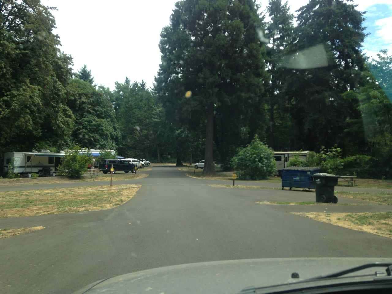 Armitage Park & Campground - a Lane County Park | East Springfield, Oregon