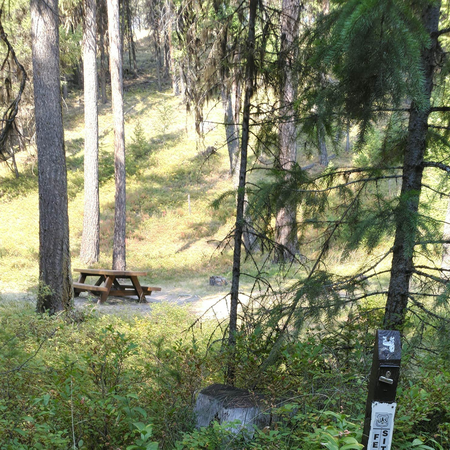 Lane Creek Camping | Ukiah, Oregon