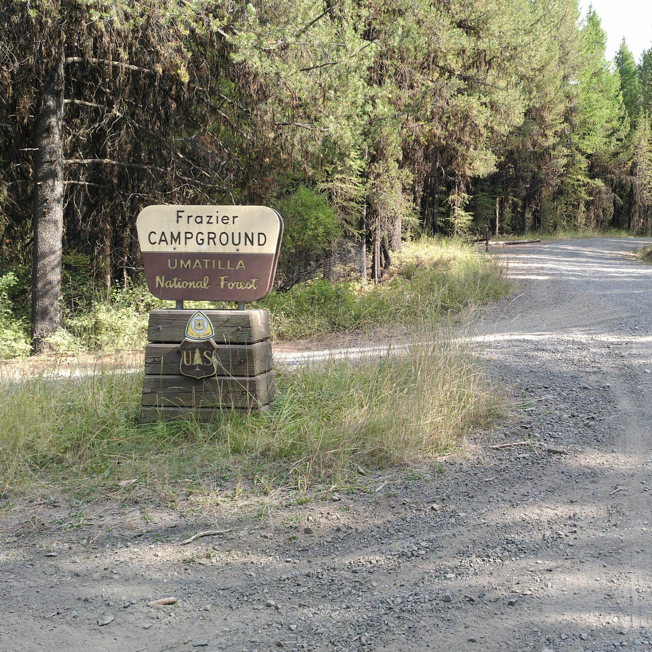 Frazier Campground & Trailhead Camping | The Dyrt